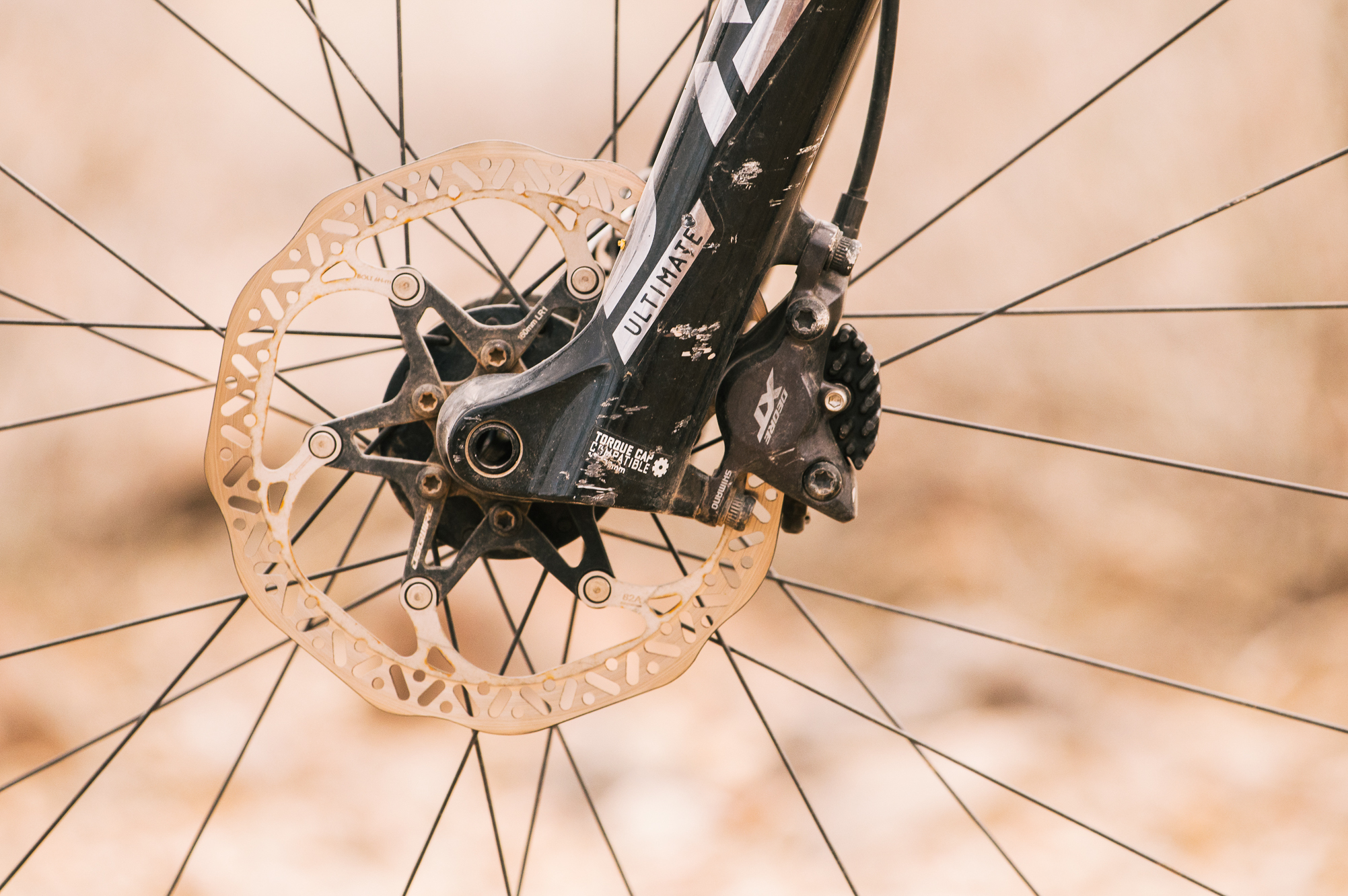 Ally’s Hoefer Cycles Custom 29er Hardtail Bikepacking Rig – Spencer ...