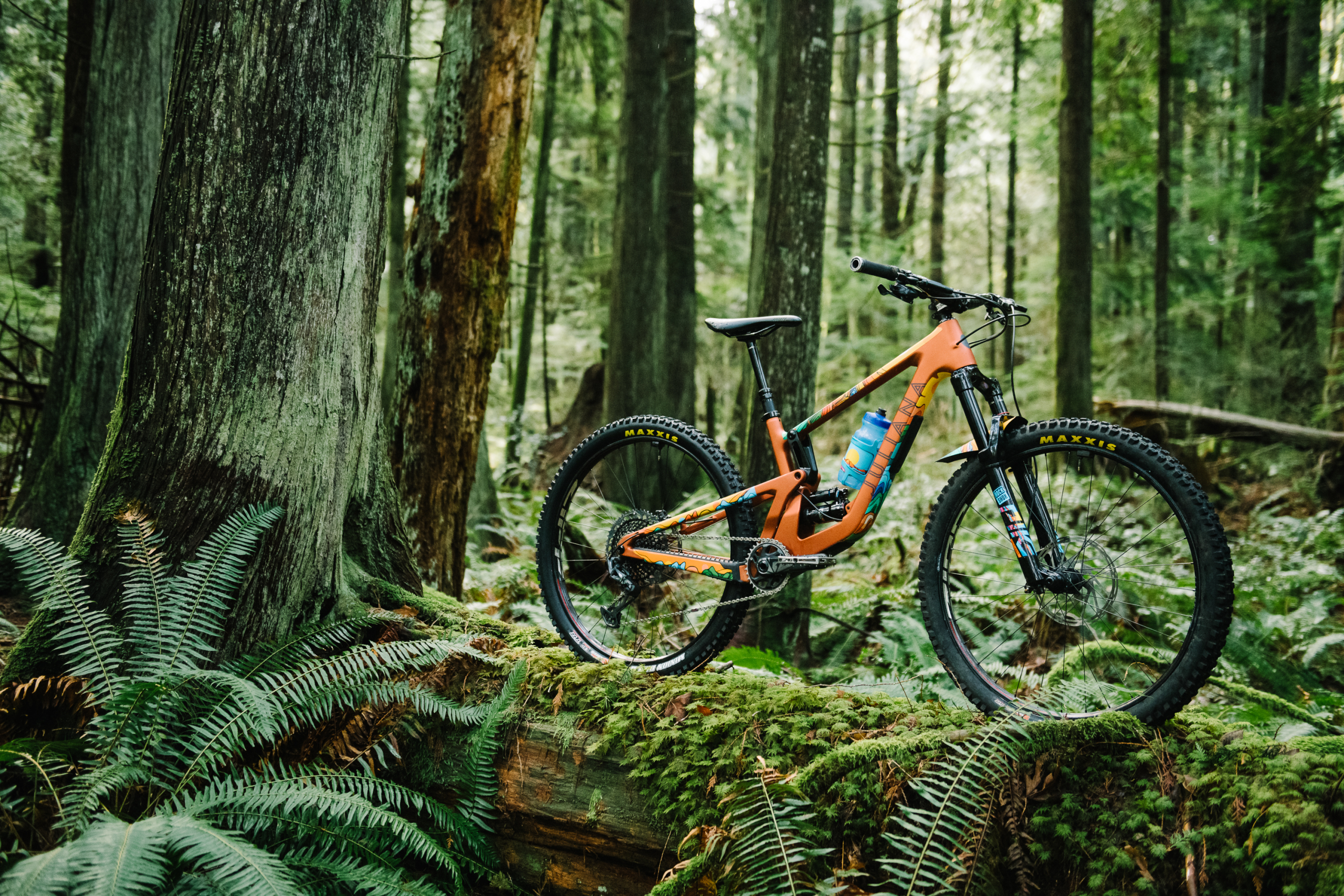 An Interview with Brooklyn Bell on Her Ground Keeper Custom ...