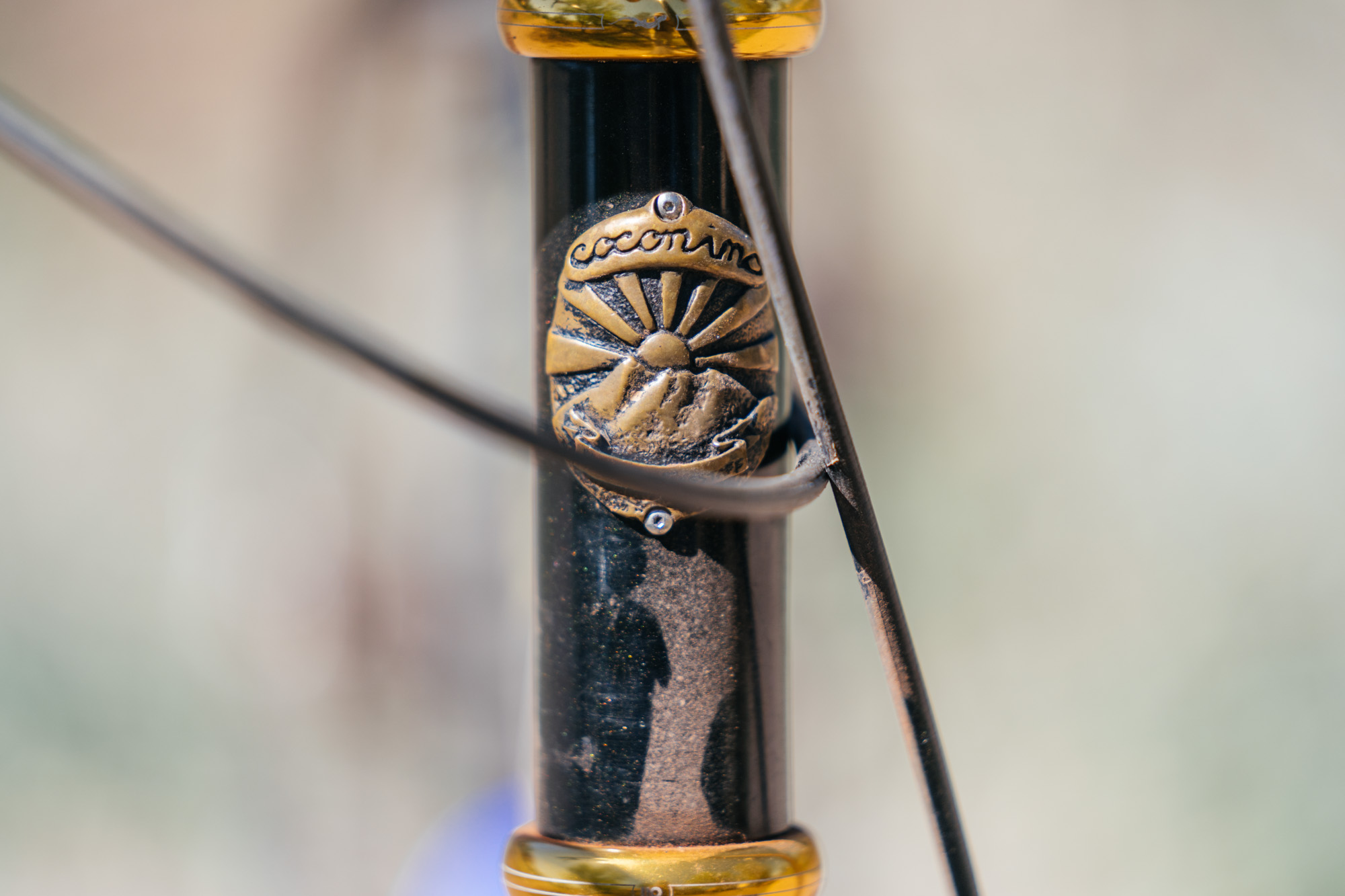 Chris’ Coconino Cycles Singlespeed 27.5 Cruiser – john watson | The ...