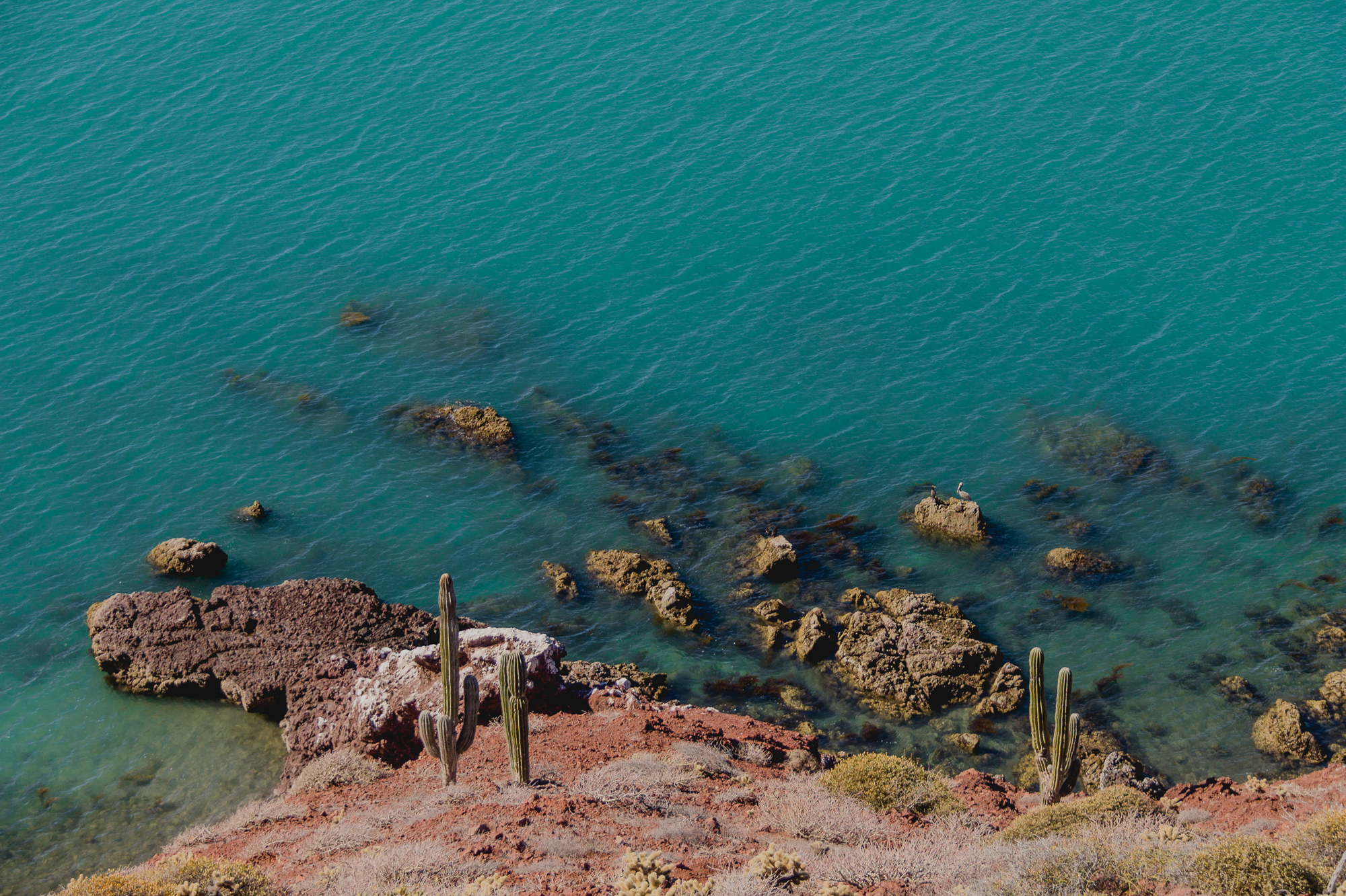 Seeking Adventure In My Own Backyard: Tour Costa de Hermosillo – Daniel ...