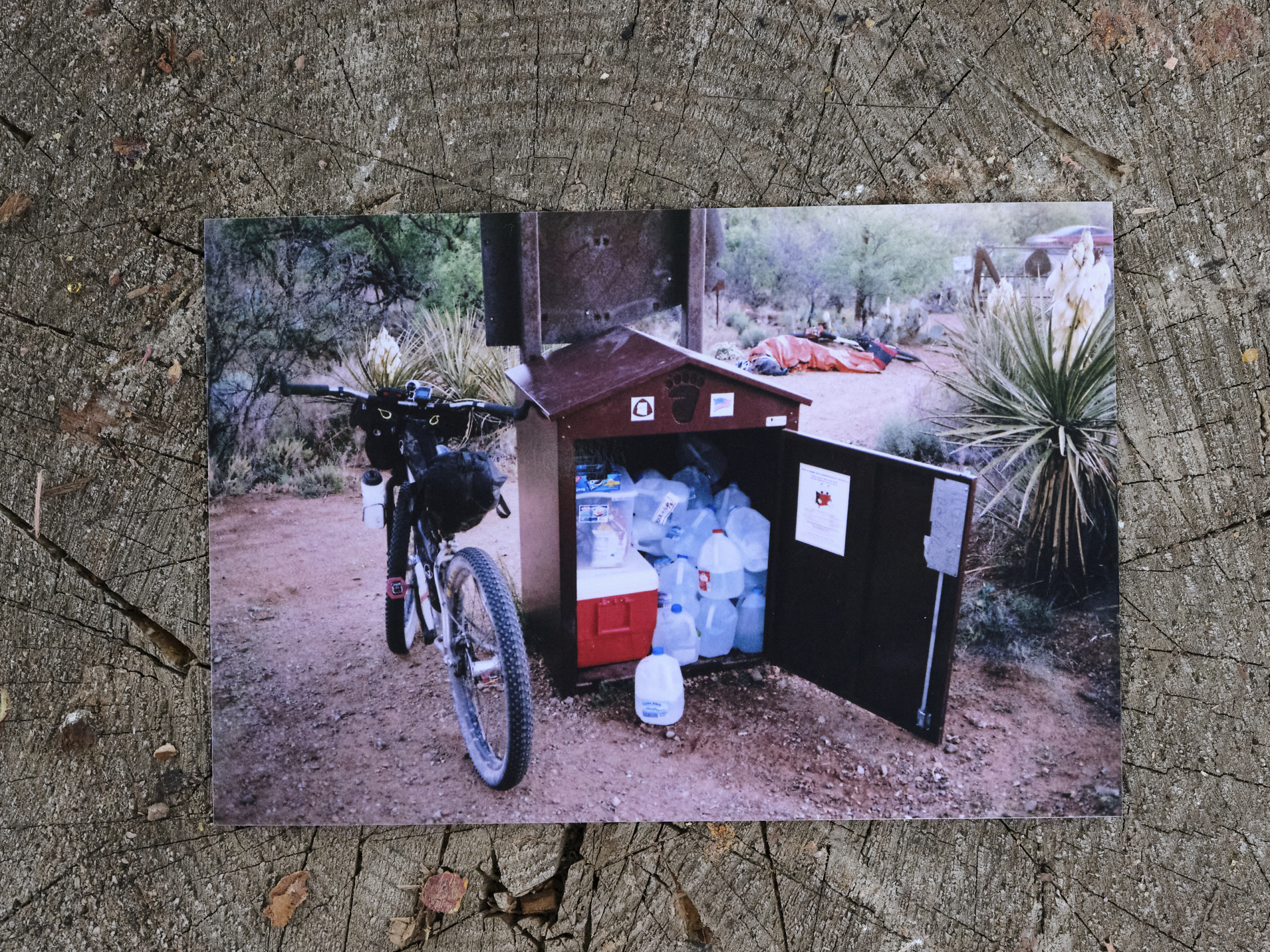 Josh Uhl’s 2019 Triple Crown Attempt: A Personal Journey – Hailey Moore ...