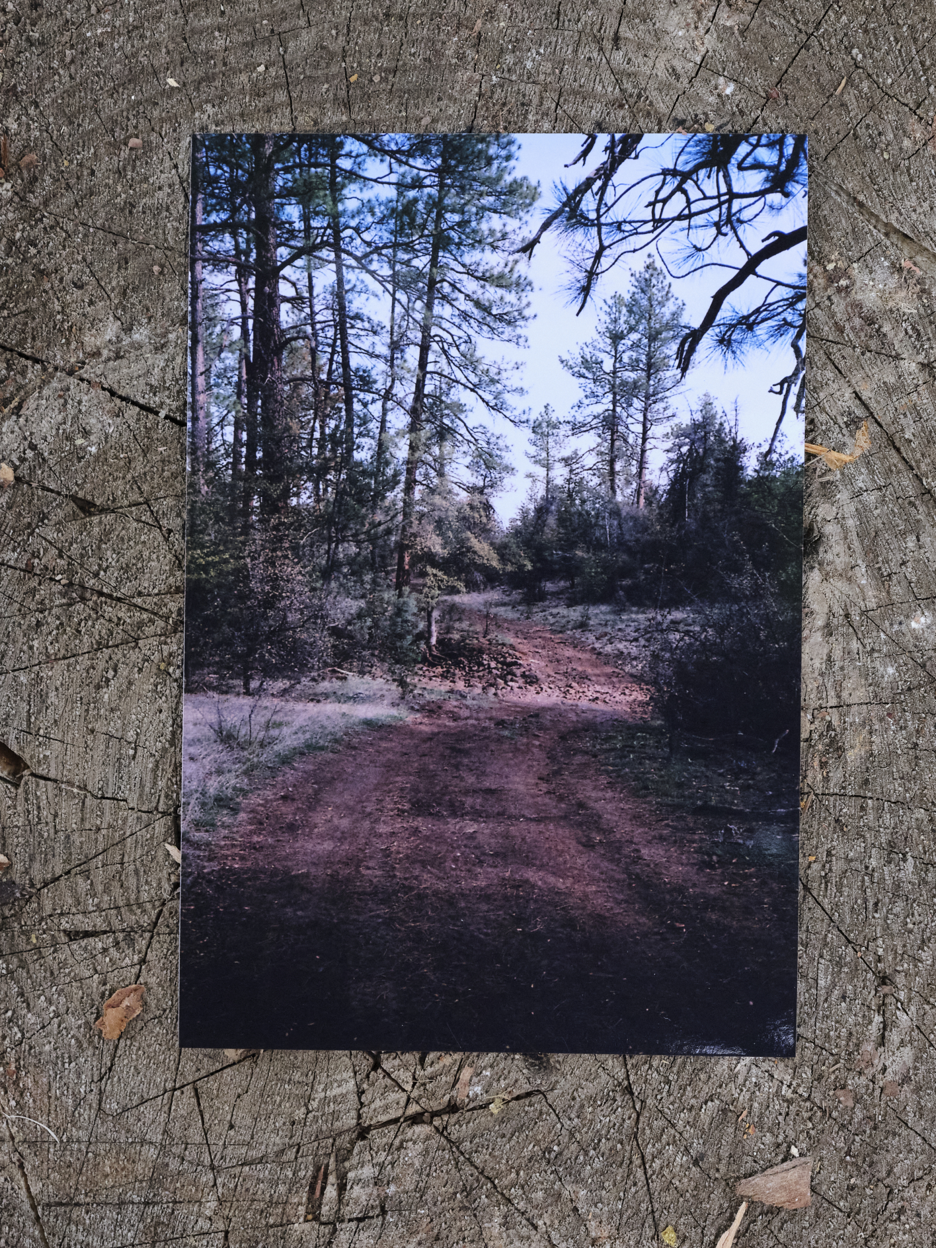 Josh Uhl’s 2019 Triple Crown Attempt: A Personal Journey – Hailey Moore ...