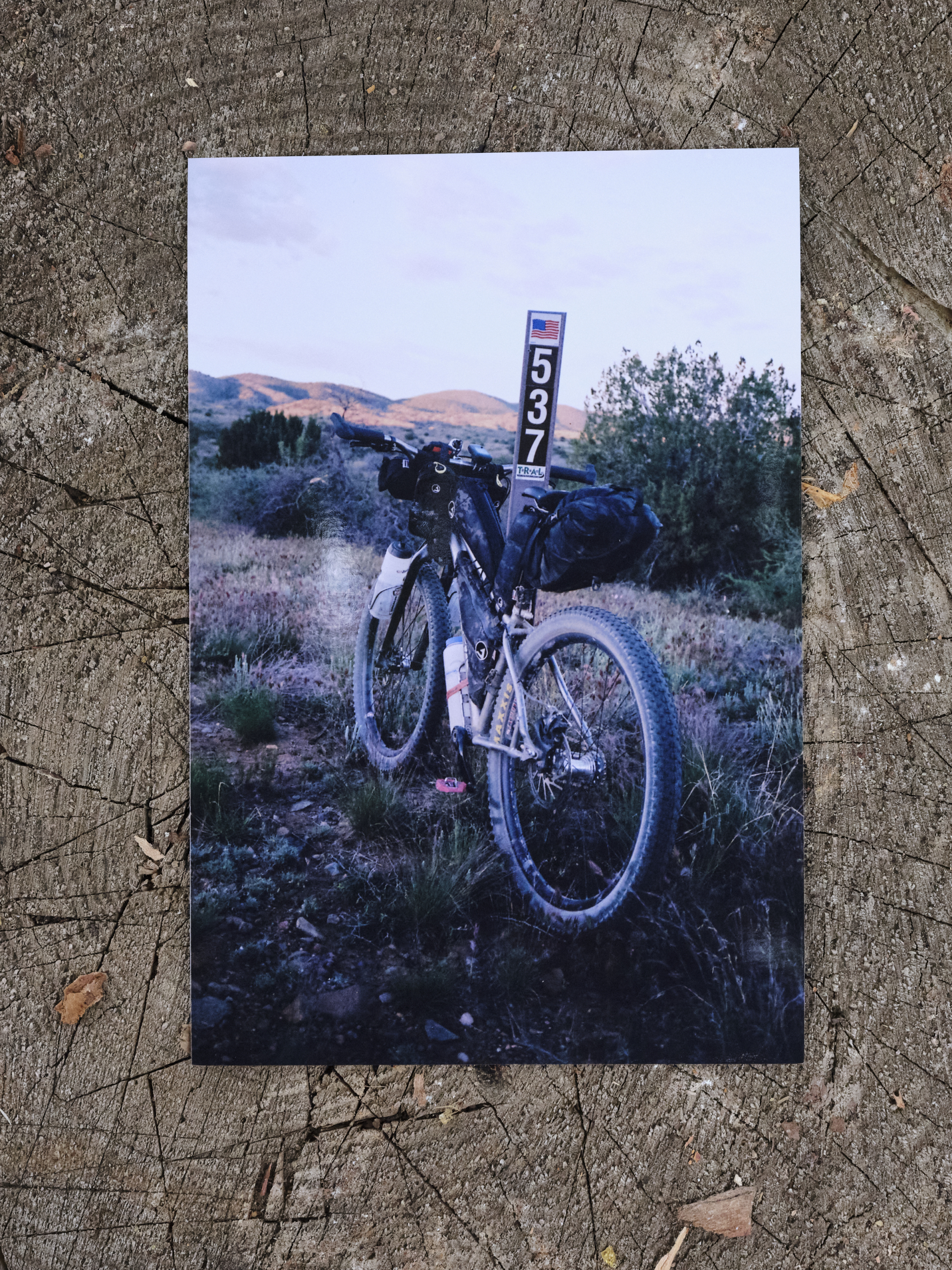 Josh Uhl’s 2019 Triple Crown Attempt: A Personal Journey – Hailey Moore ...