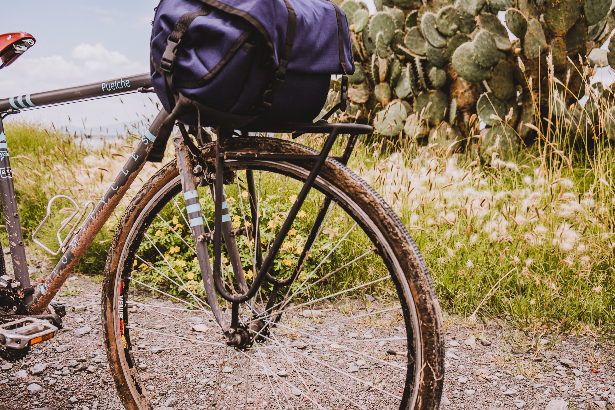 A Look at Two Builds from Mexico’s Atom Cycles: The Puelche and Kodkod ...