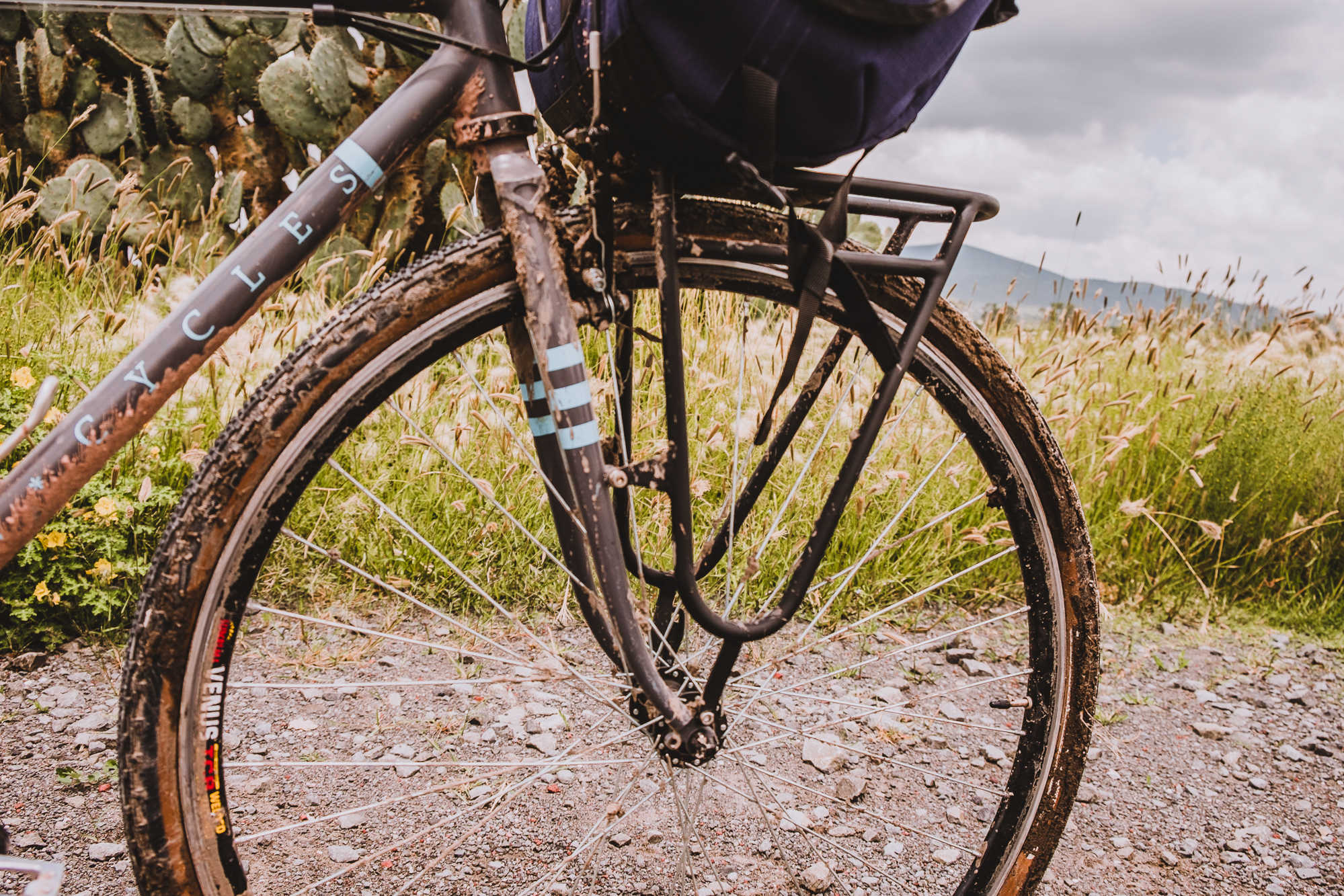 A Look at Two Builds from Mexico’s Atom Cycles: The Puelche and Kodkod ...