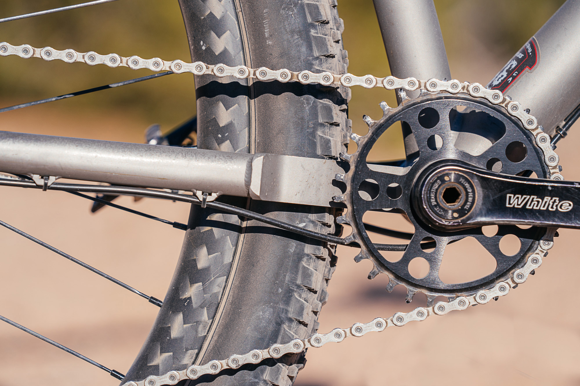 Alex’s Tall, Lean, and Mean Custom Slug Bicycles Gasser Rigid Titanium ...