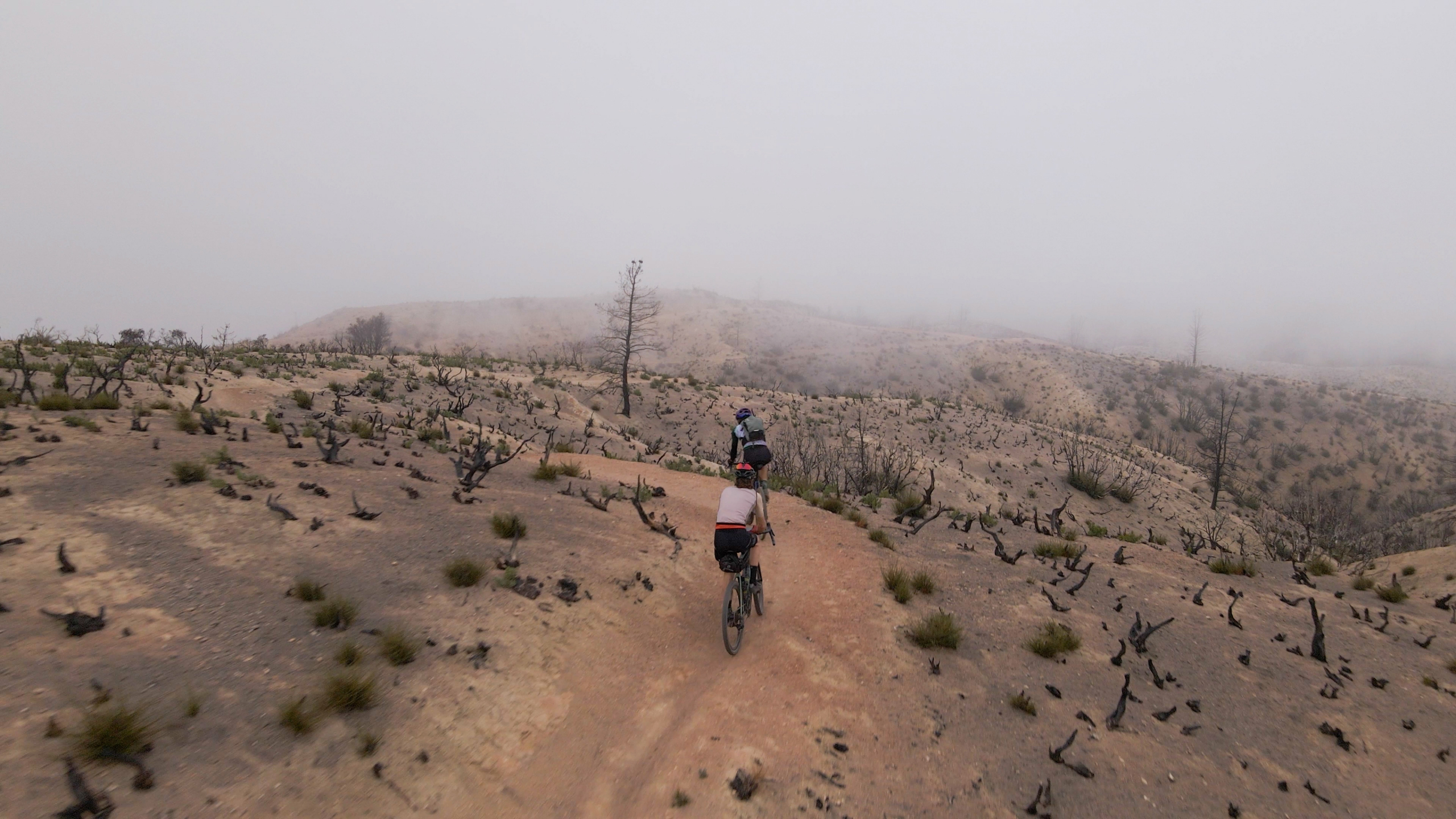 Forgotten Roads: Old Ridge Route | The Radavist | A group of ...