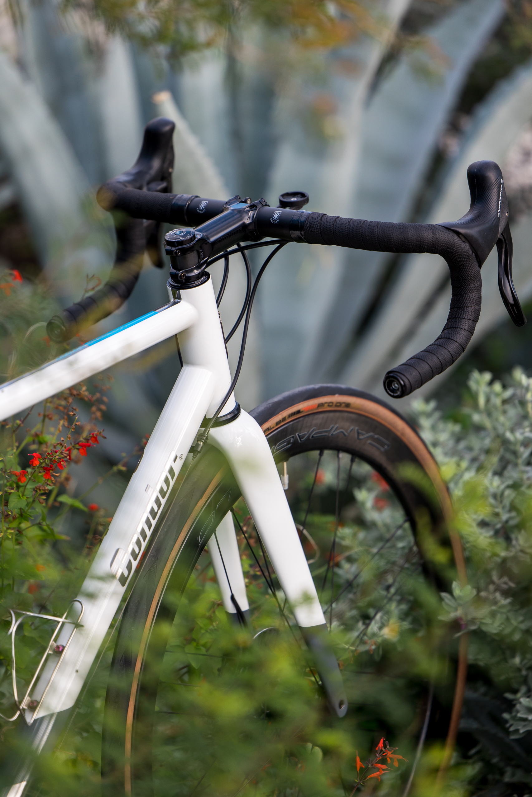 David Figueroa’s Custom Condor Cycles Stainless Super Acciaio Road ...