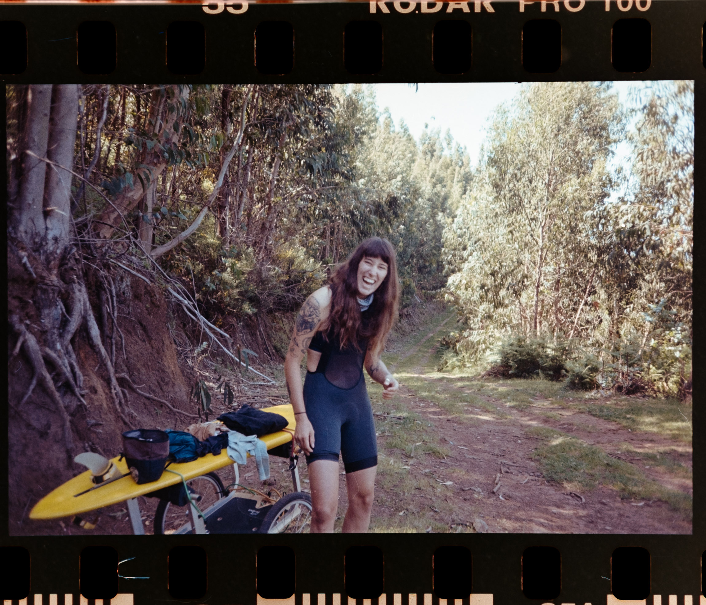 Into the Atlantic Islands: Madeira – Sami Sauri | The Radavist | A ...