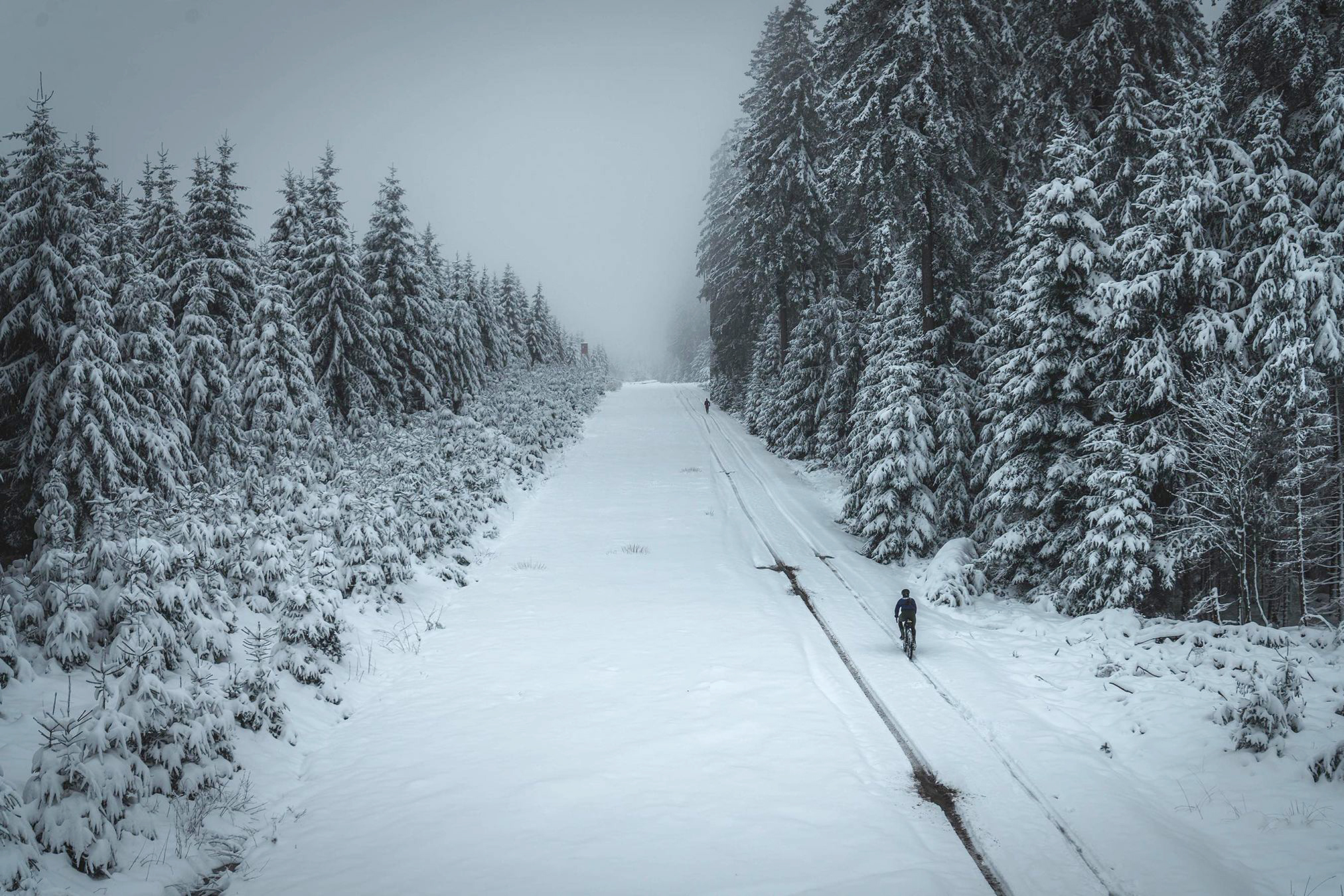 Radar Roundup: Cargo Mounts, Wizard Roundup, Manivelle Rack, Go-Go ...