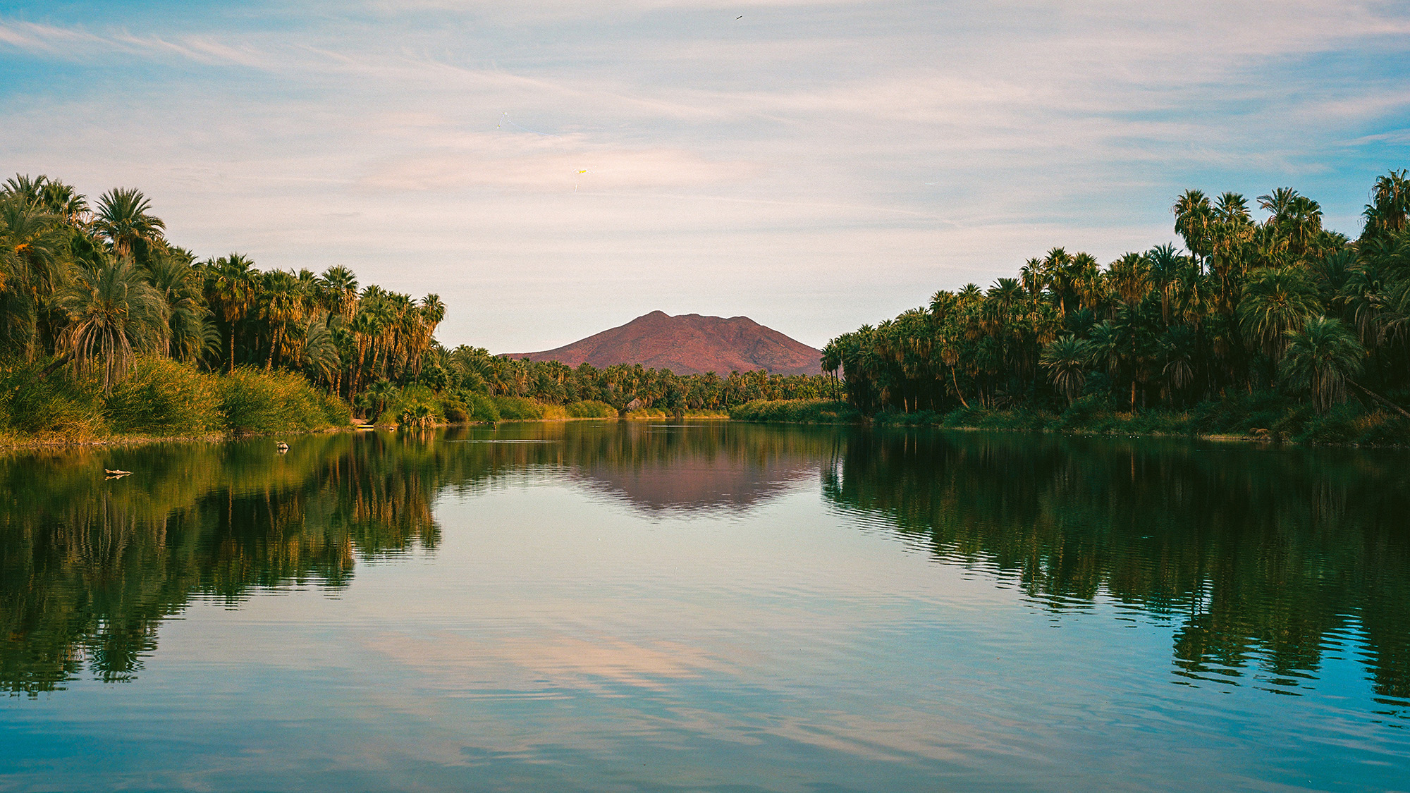 Radar Roundup: 3/4 Sleeve Riding Tees, Basket Nets, White Rock Lobster ...