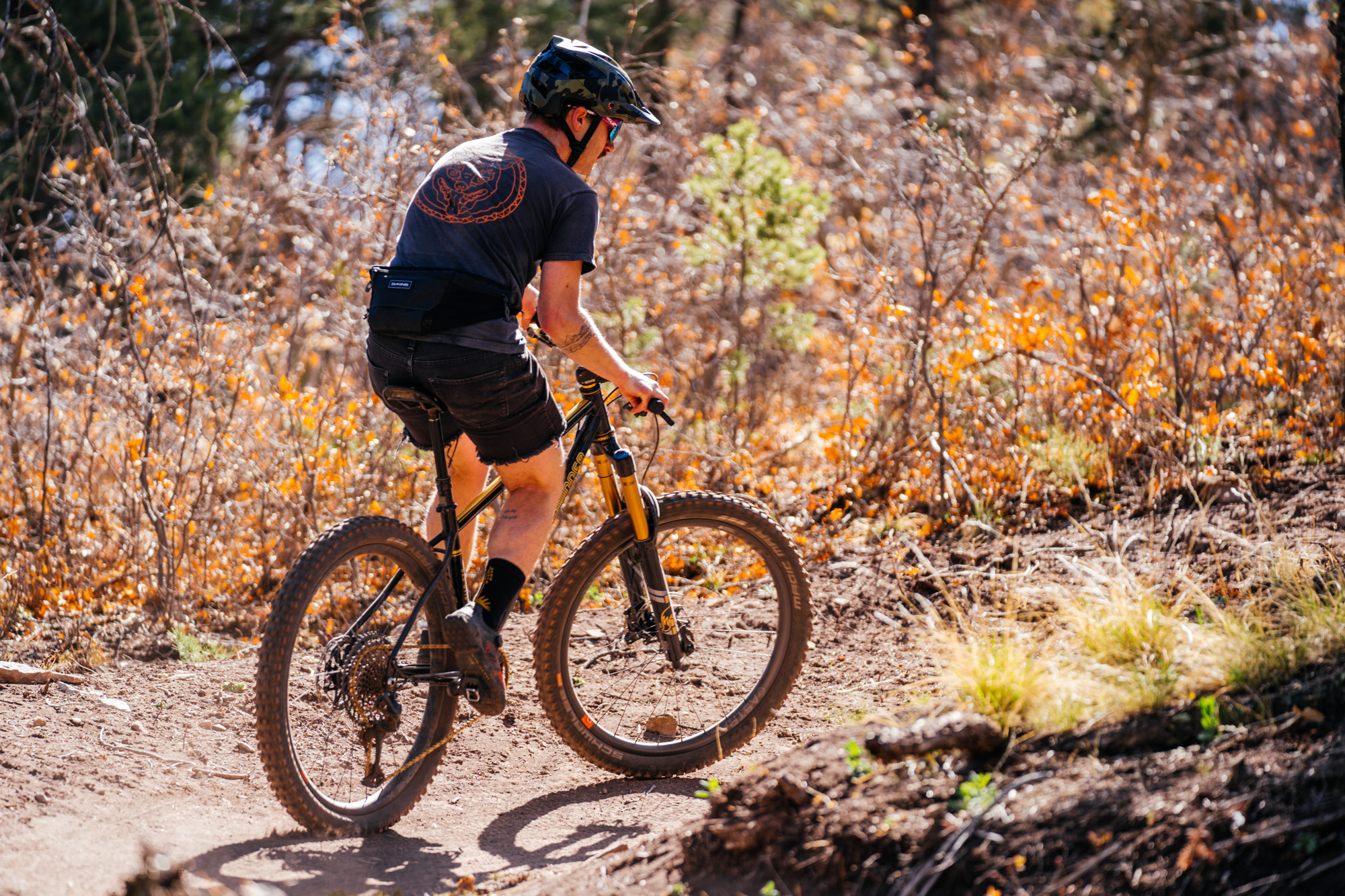 Trail Time with Breadwinner’s Bad Otis: A 160mm Travel 27.5 Shred Sled ...