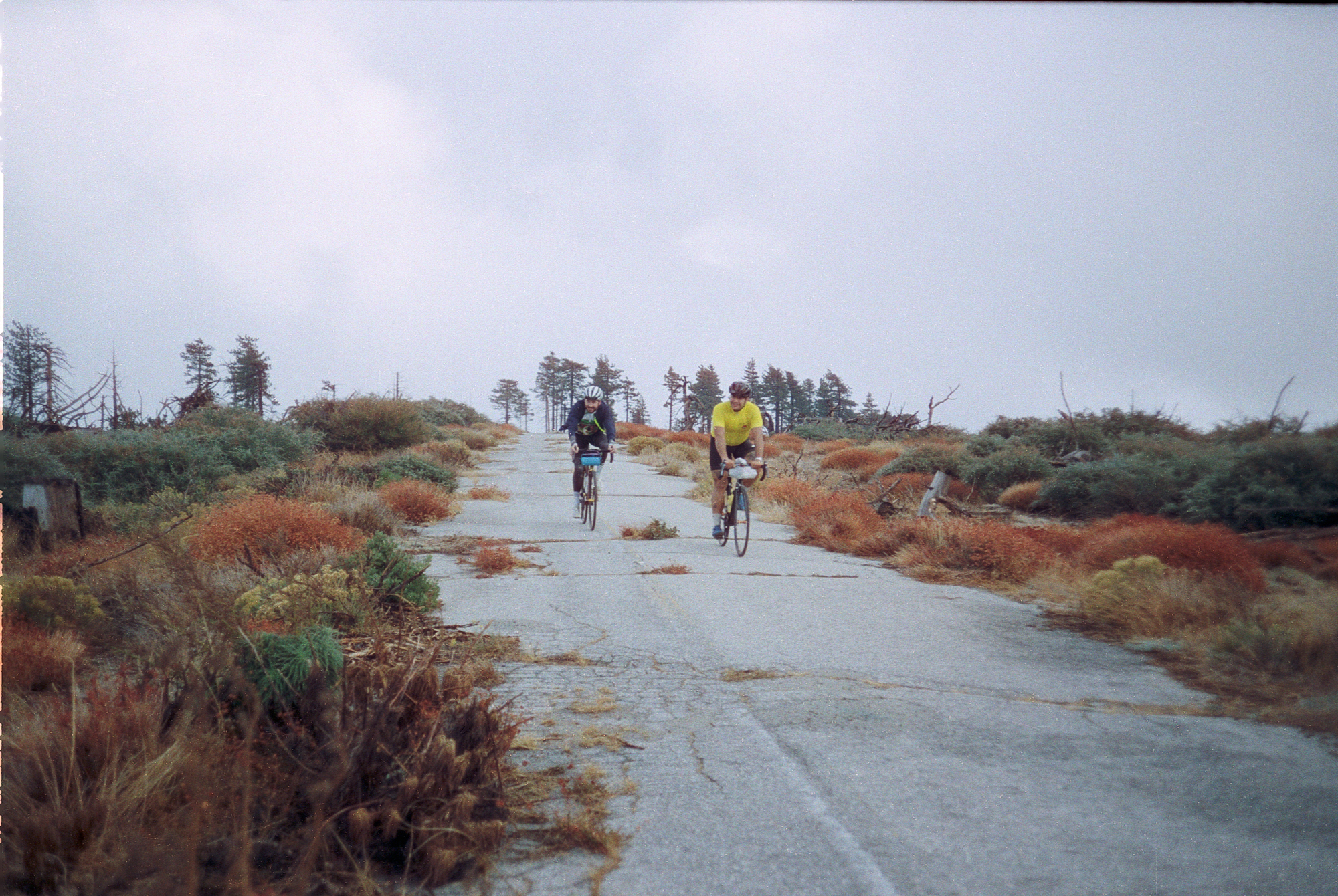 The Great Nutter Butter Discovery on Mount Gleason – Sean Talkington ...