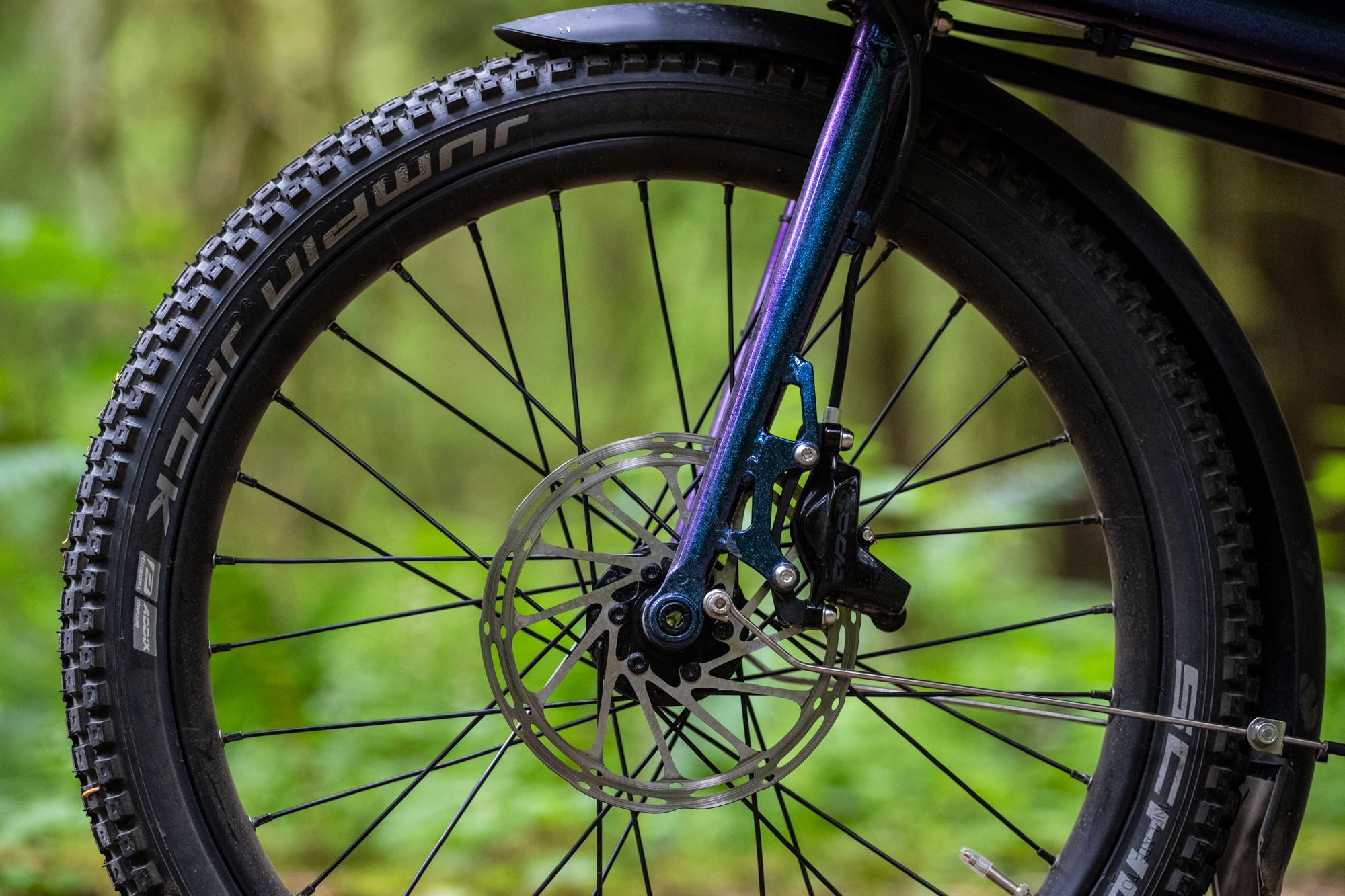 Omnium Cargo Bike Review: Finding Your Super Power – Morgan Taylor ...