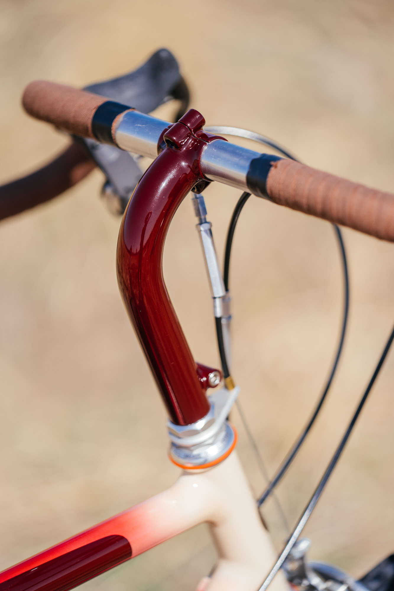 Vintage Bicycles: 1987 Steve Potts Signature – Tasshi Dennis & John ...