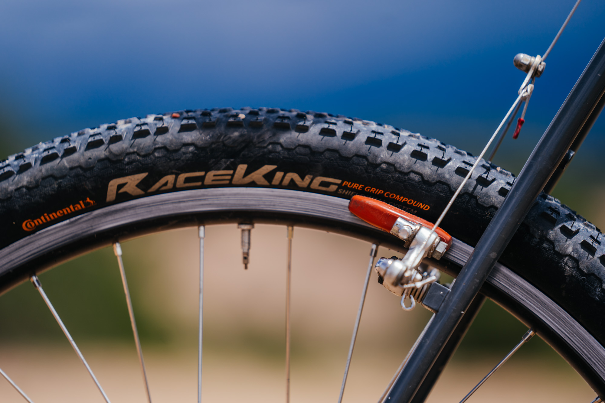 Alex and His 1987 Bridgestone MB-1 Basket Bike – john watson | The ...