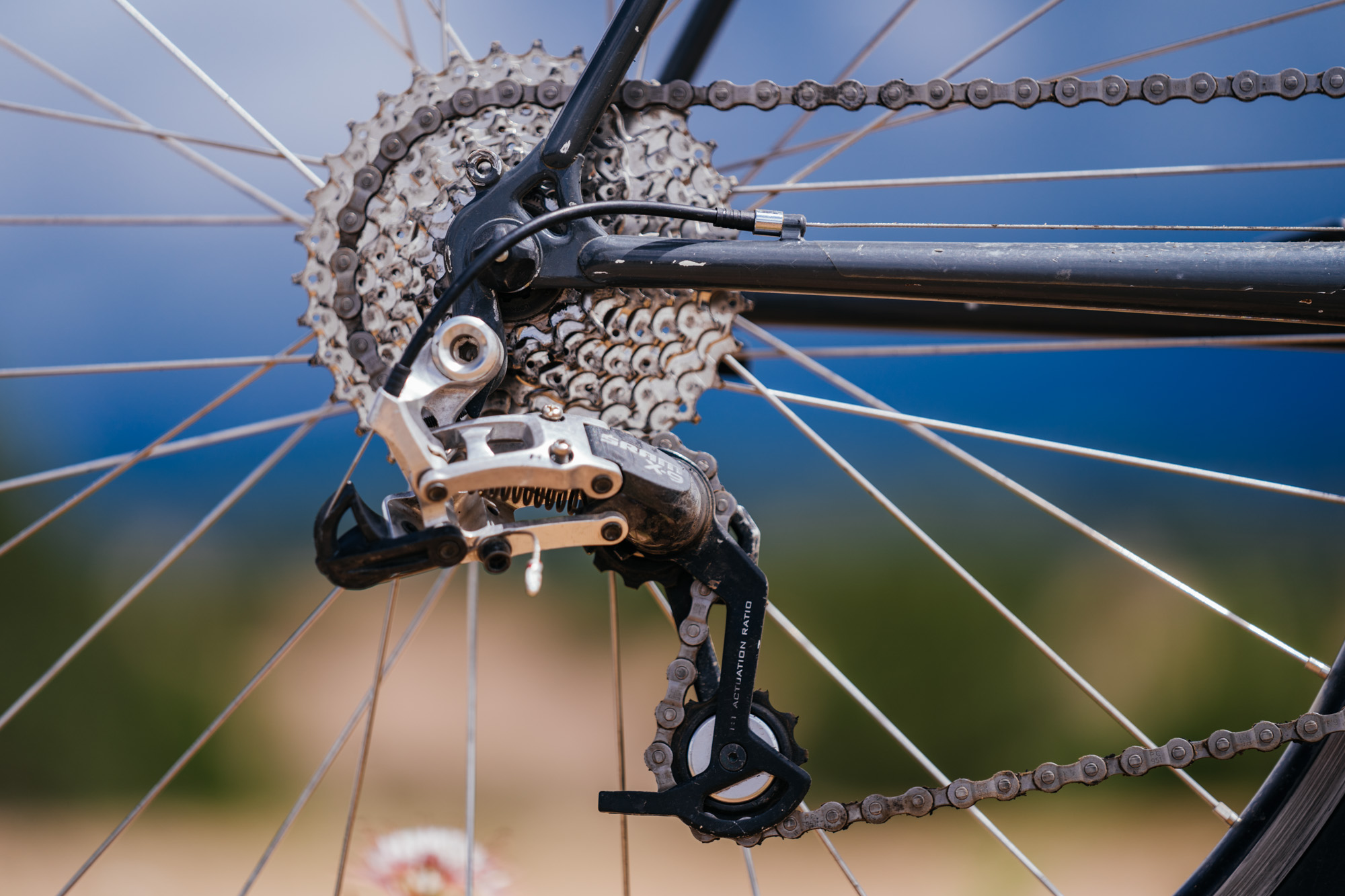 Alex and His 1987 Bridgestone MB-1 Basket Bike – john watson | The ...