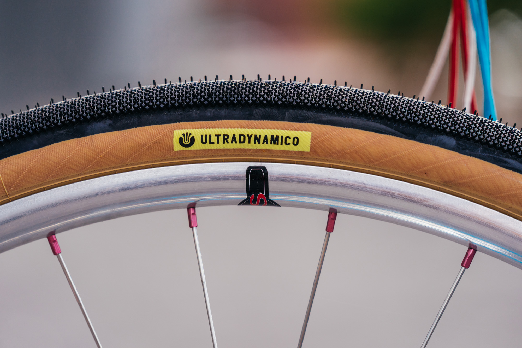 You Can Win This Crust Bikes Florida Man Fixed Gear Custom Build From ...