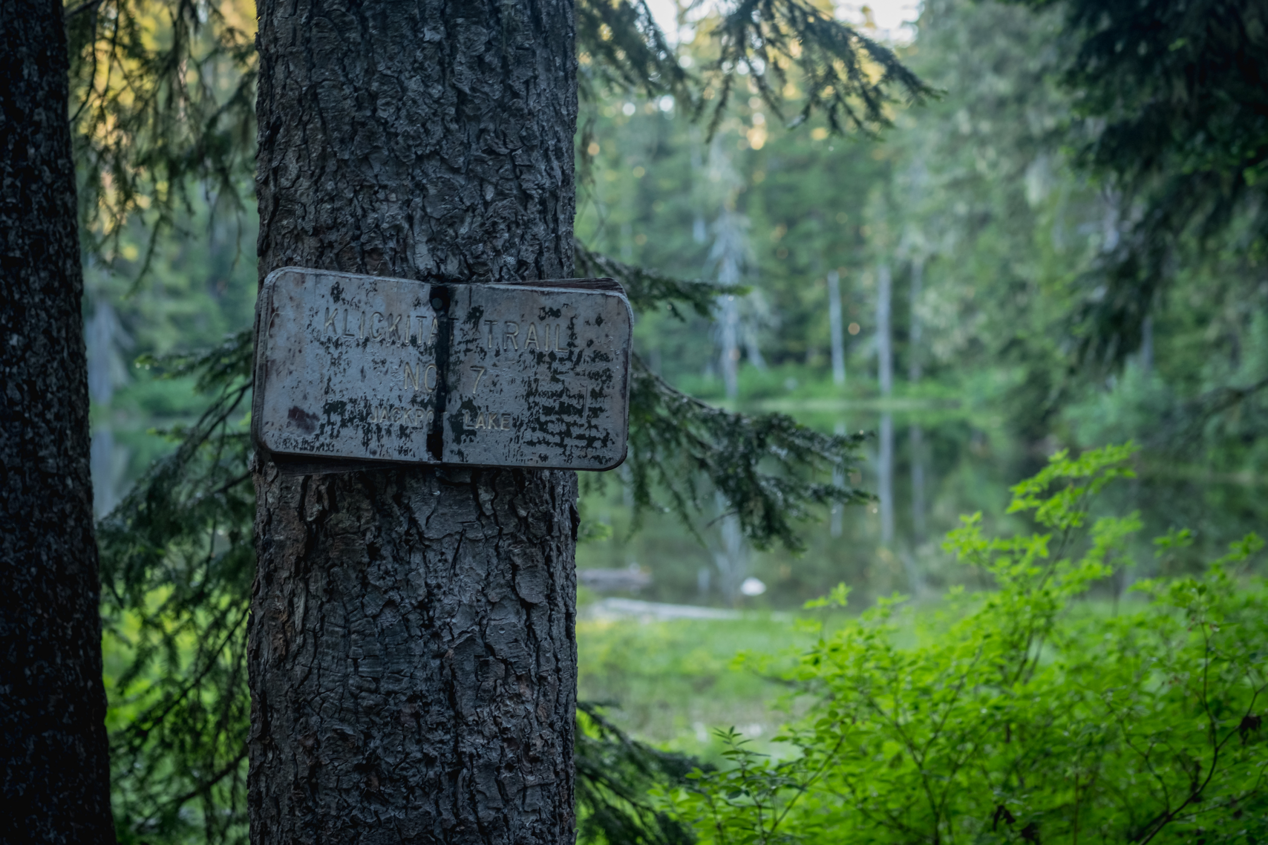 Orogenesis: A New Way On Old Ground – Gabe Tiller | The Radavist | A ...