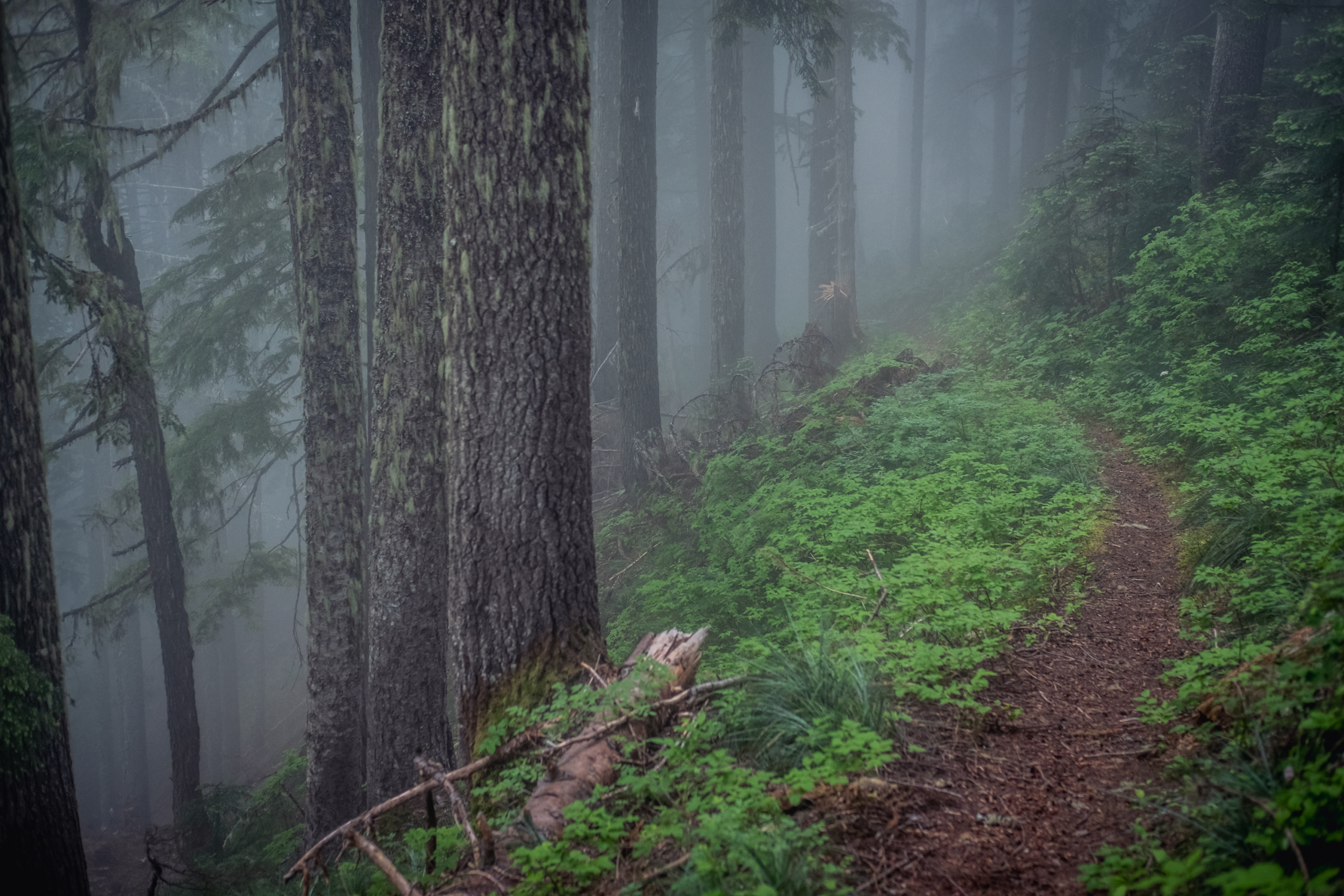 Orogenesis: A New Way On Old Ground – Gabe Tiller | The Radavist | A ...