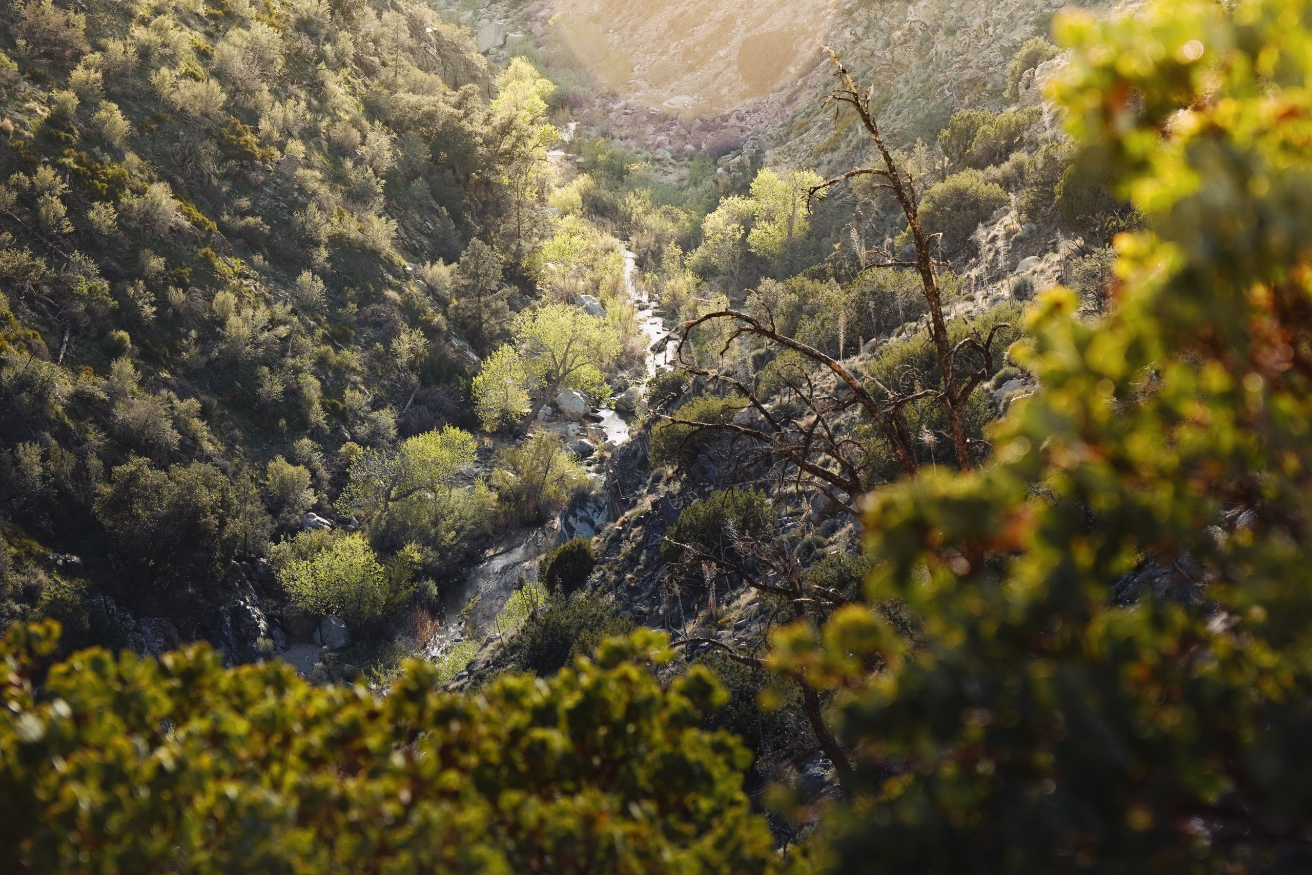 So Close, Yet So Far Away: Bikefishing and Solitude in the Los Padres ...