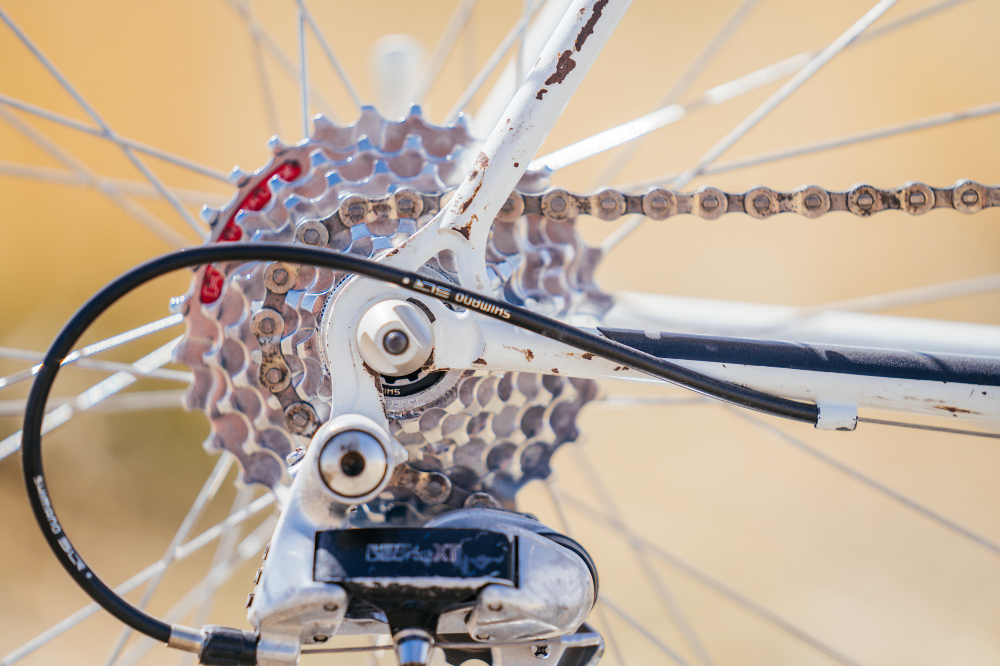 From The Pro’s Closet: Ross Shafer’s 1984 Salsa Cycles Custom – Tasshi ...