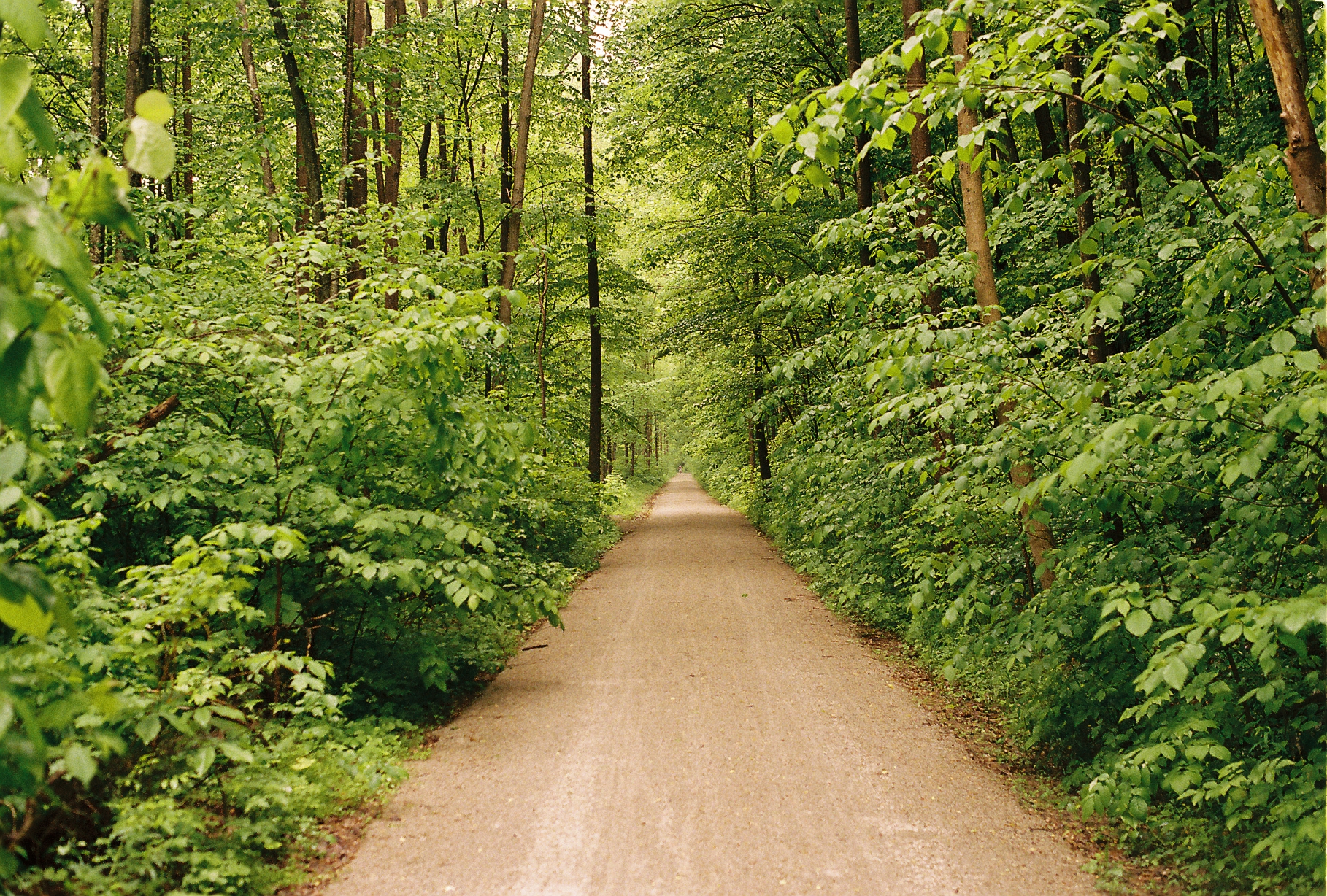 Trail and Path: A Love Letter to Bike Touring the C&O Canal Towpath ...
