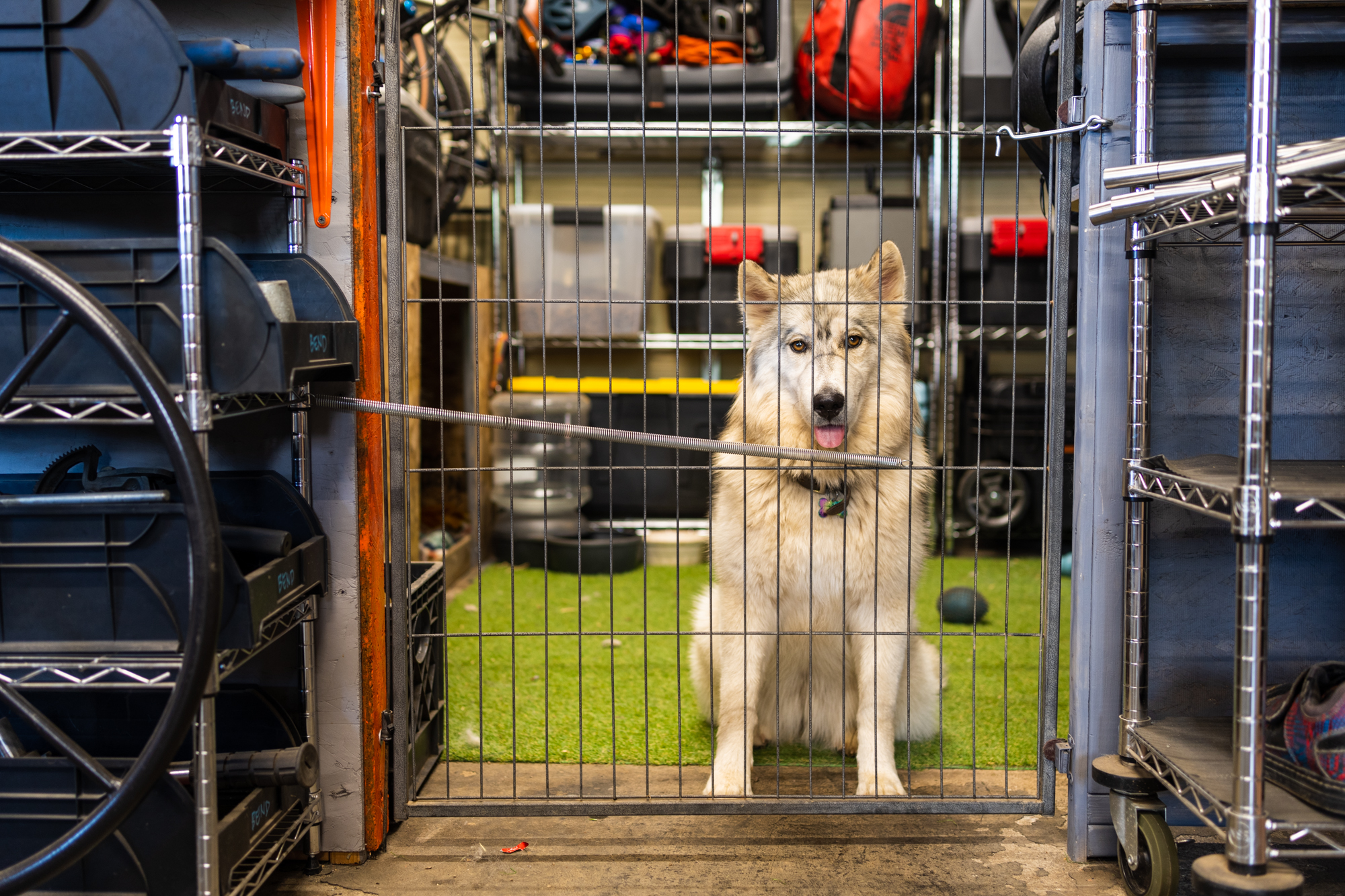 Inside/Out at Oddity Cycles: Mastering the Dark Arts of Framebuilding ...