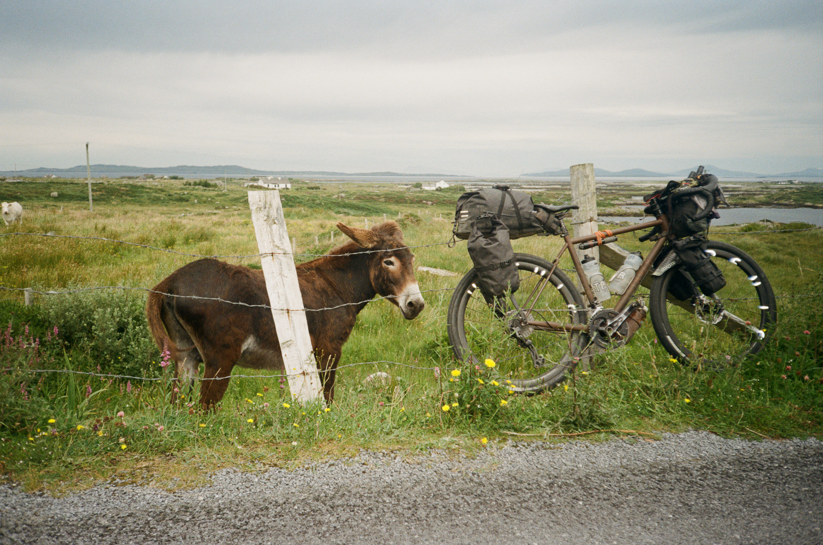 Zero Plastic Ultra Distance at the Pan Celtic Race – Taylor Doyle | The Radavist | A group of ...