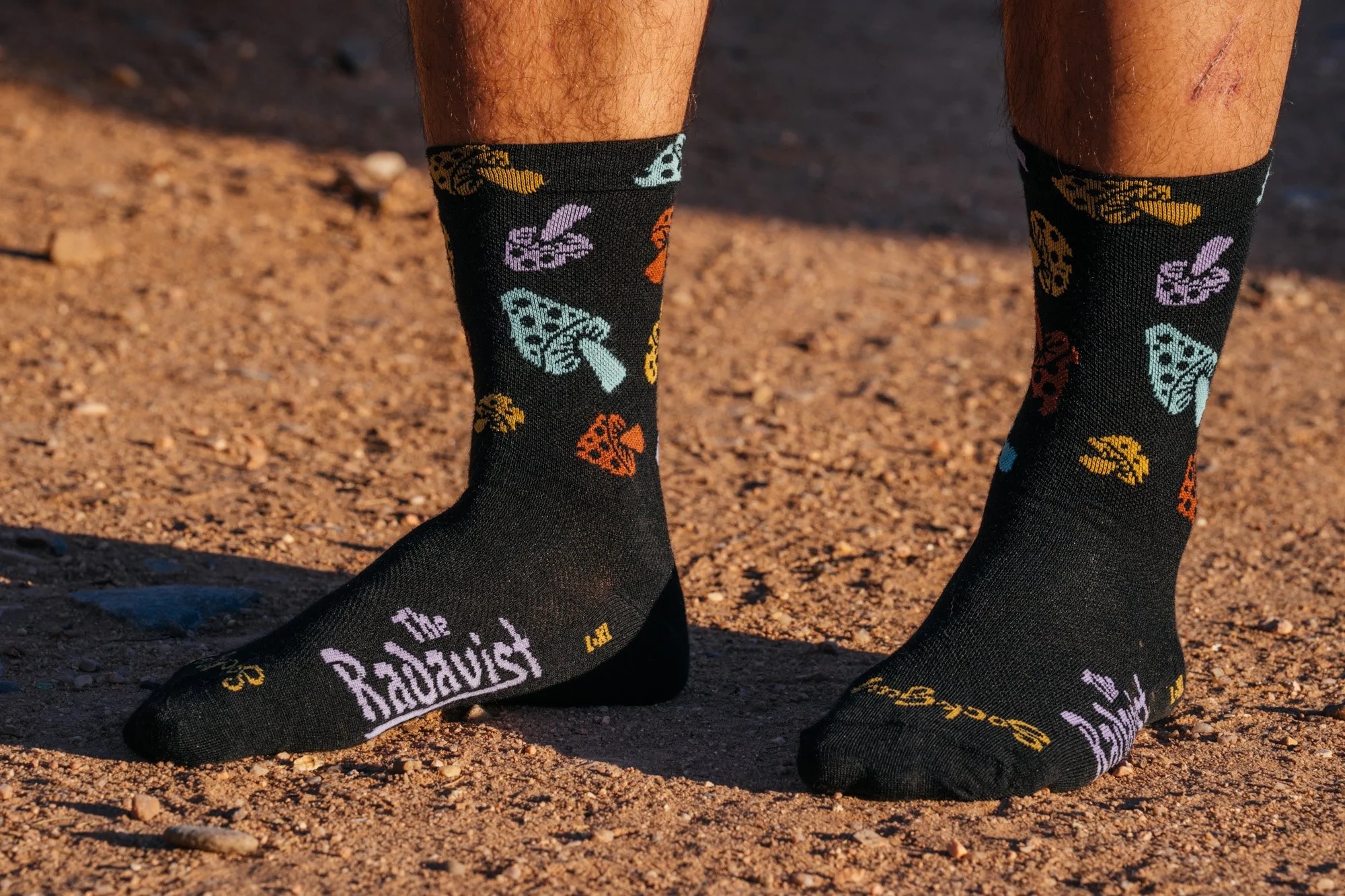 Radar Roundup: Stomp Pump, Brown Big Bro, North St Upcycled, LaRon Tool ...