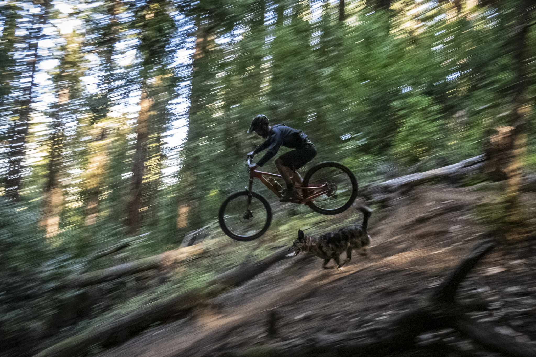 Radar Roundup: SimWorks X Golden Pliers Ramble Bar, BYOB PDW Light, BFF Amsterdam, The Noblest ...