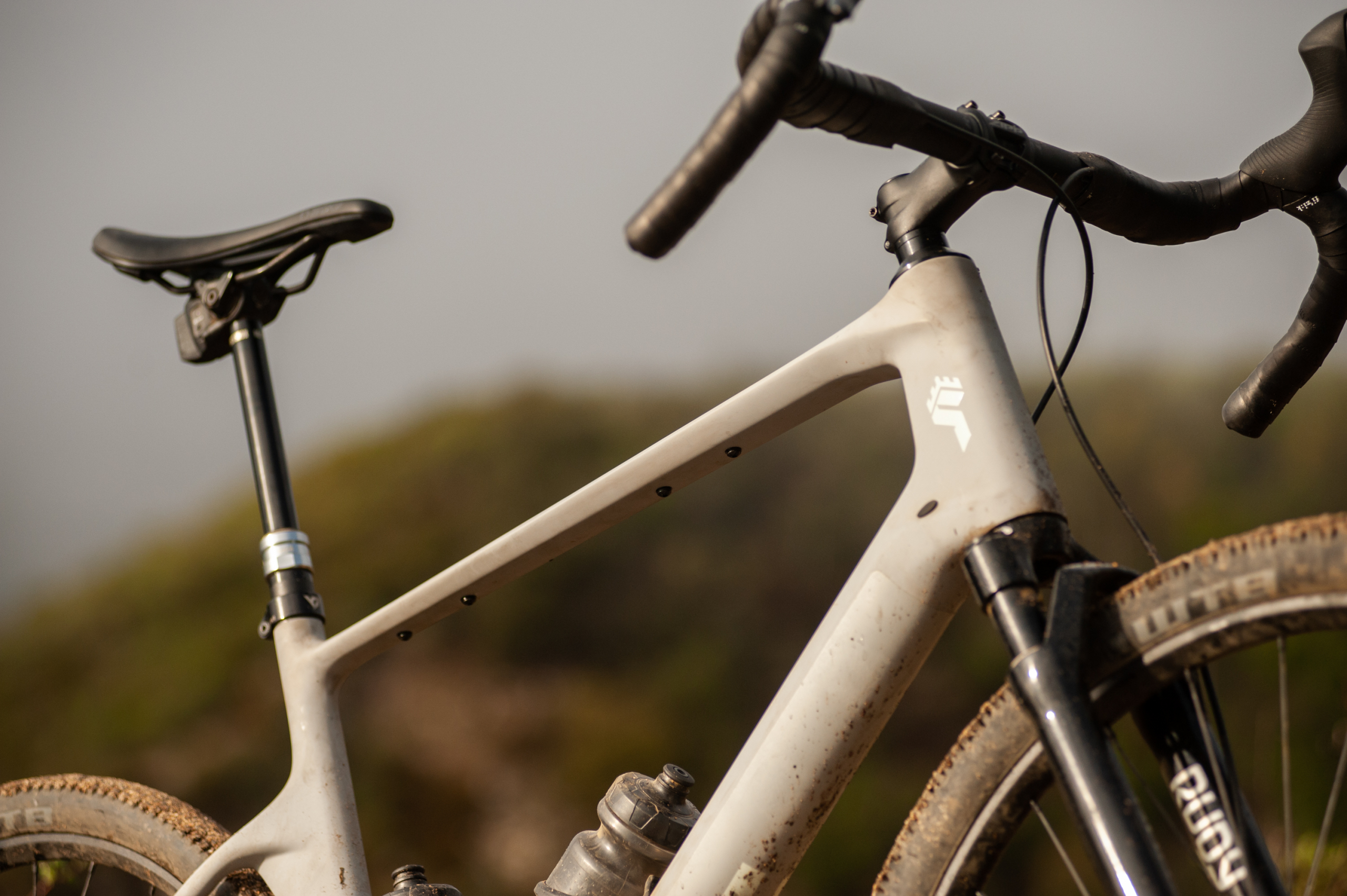Category Purgatory: Turning the YT Industries Szepter Into a Mountain ...