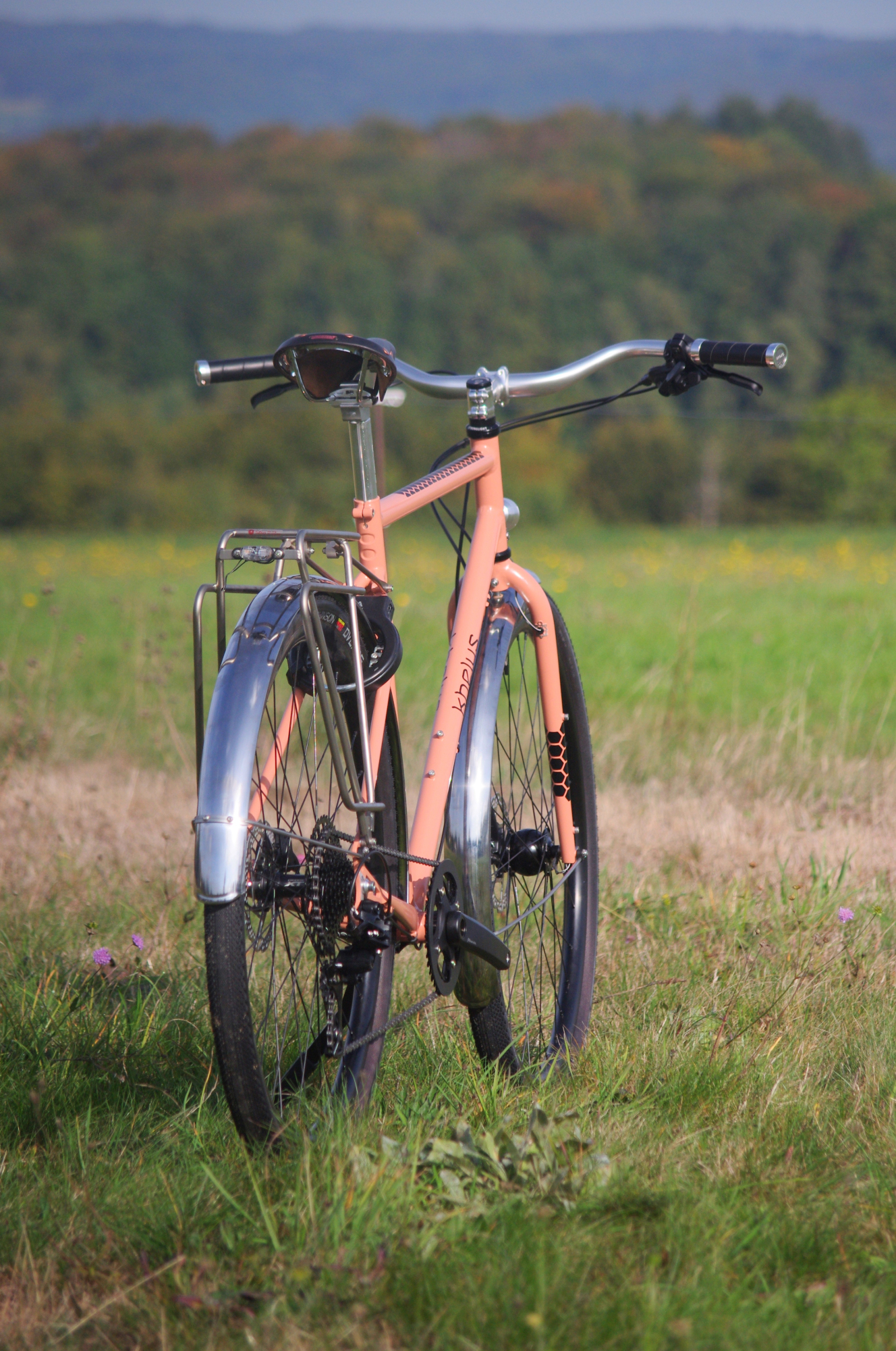 Readers’ Rides: Yann’s Self-Built Khelys Carapace Tourer | The Radavist ...