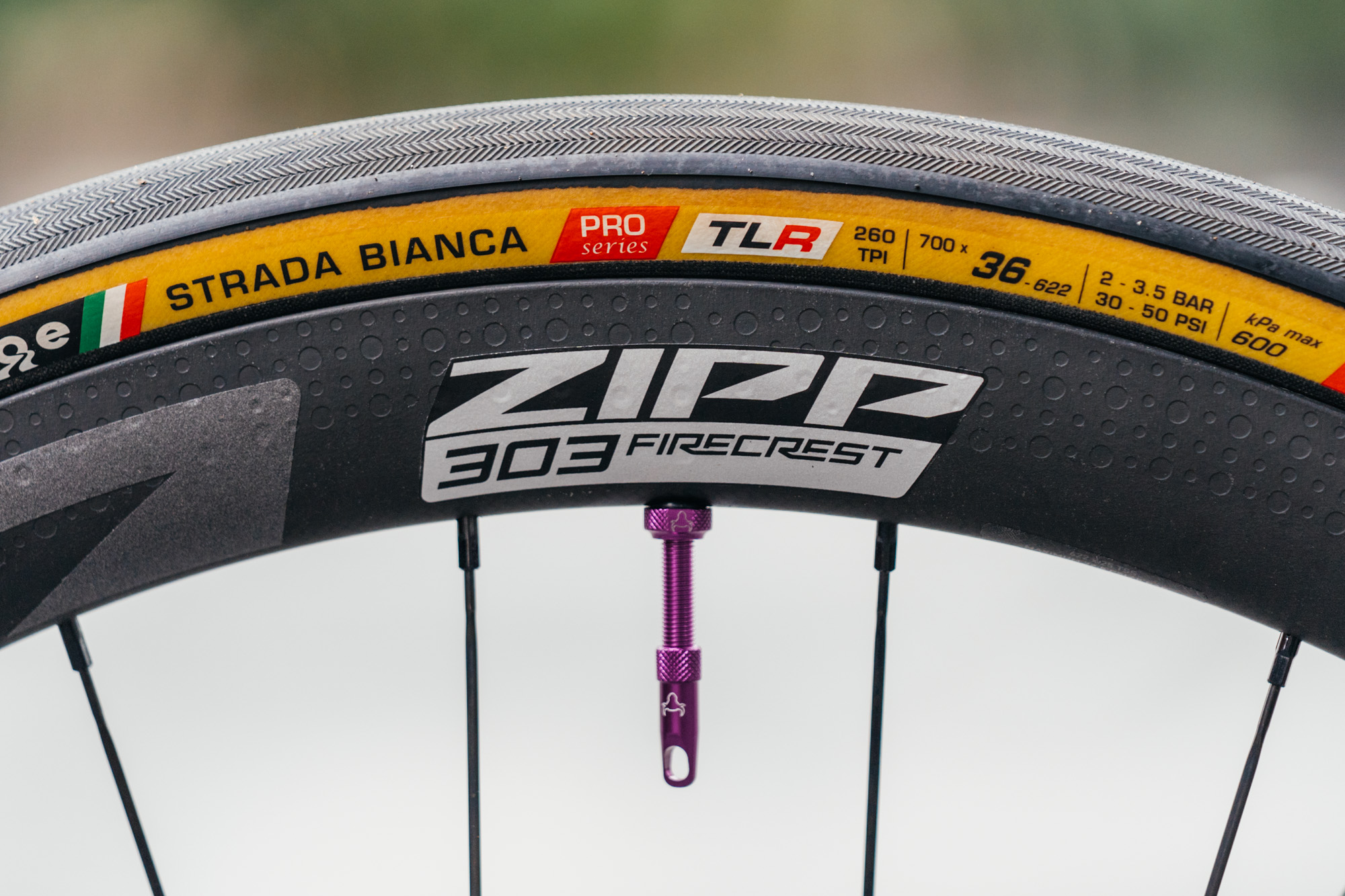 The Cub House Builds: Sycip Disc Road with Campagnolo Ekar – john ...