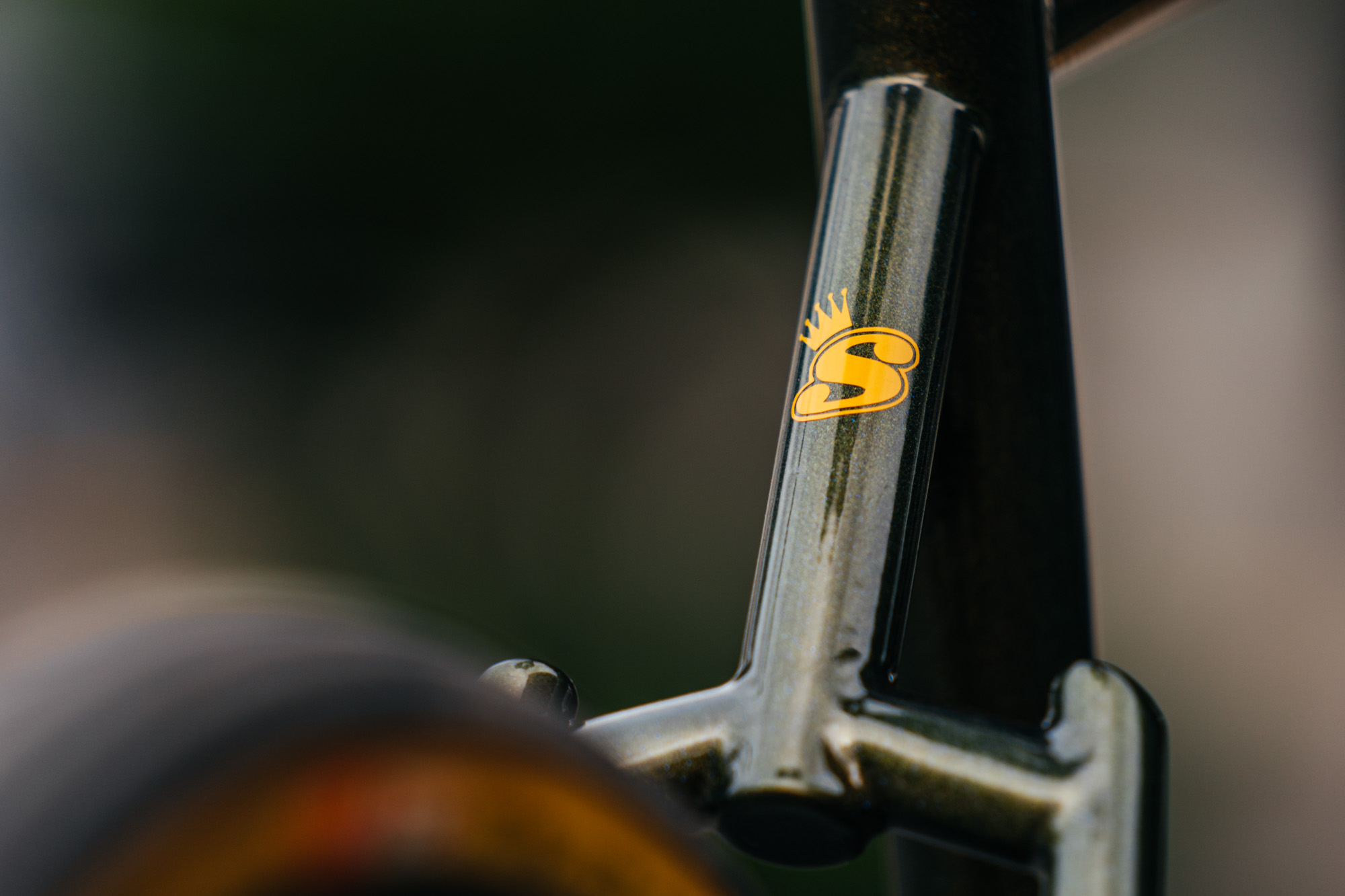 The Cub House Builds: Sycip Disc Road with Campagnolo Ekar – john ...