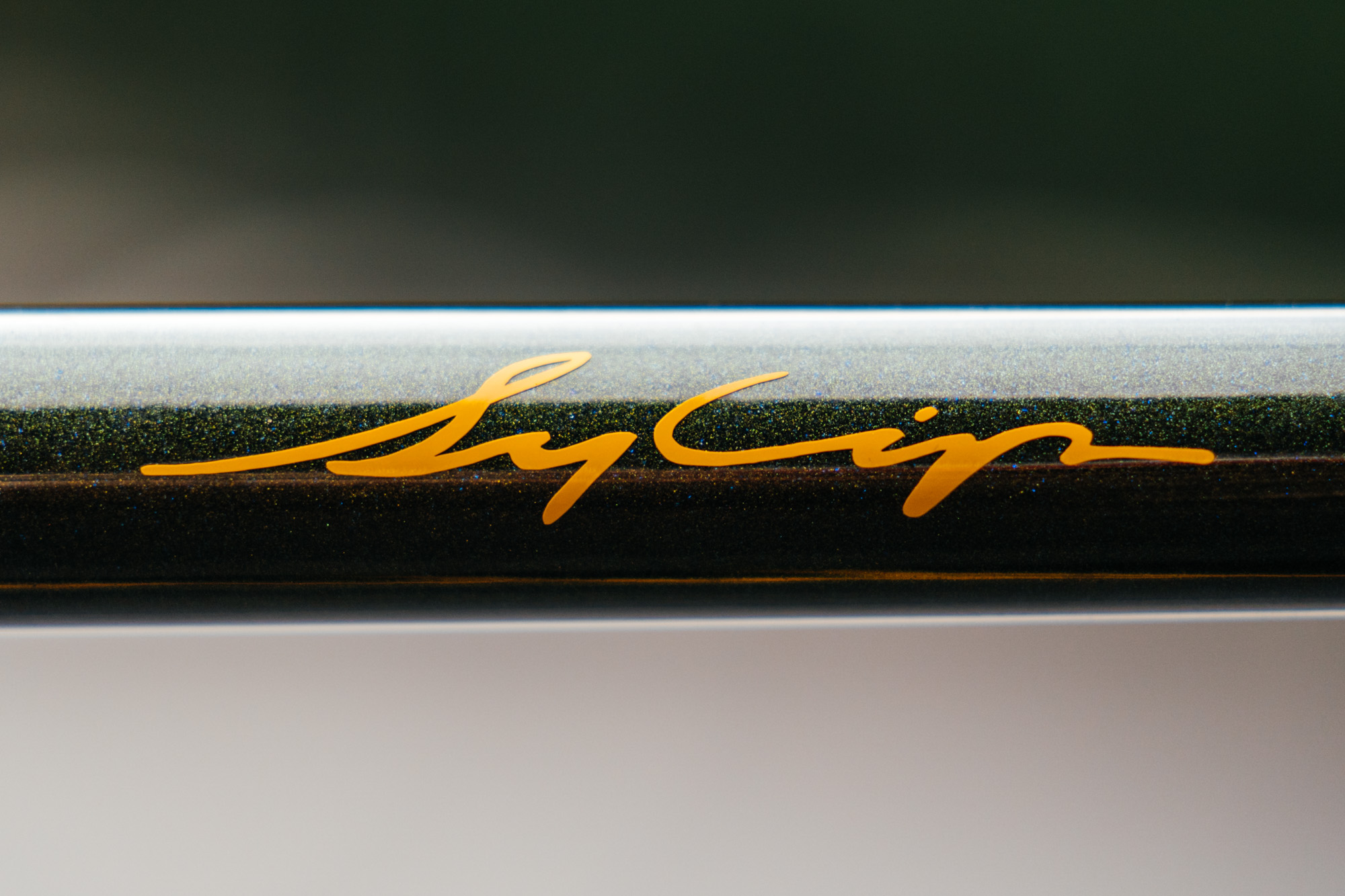 The Cub House Builds: Sycip Disc Road with Campagnolo Ekar – john ...