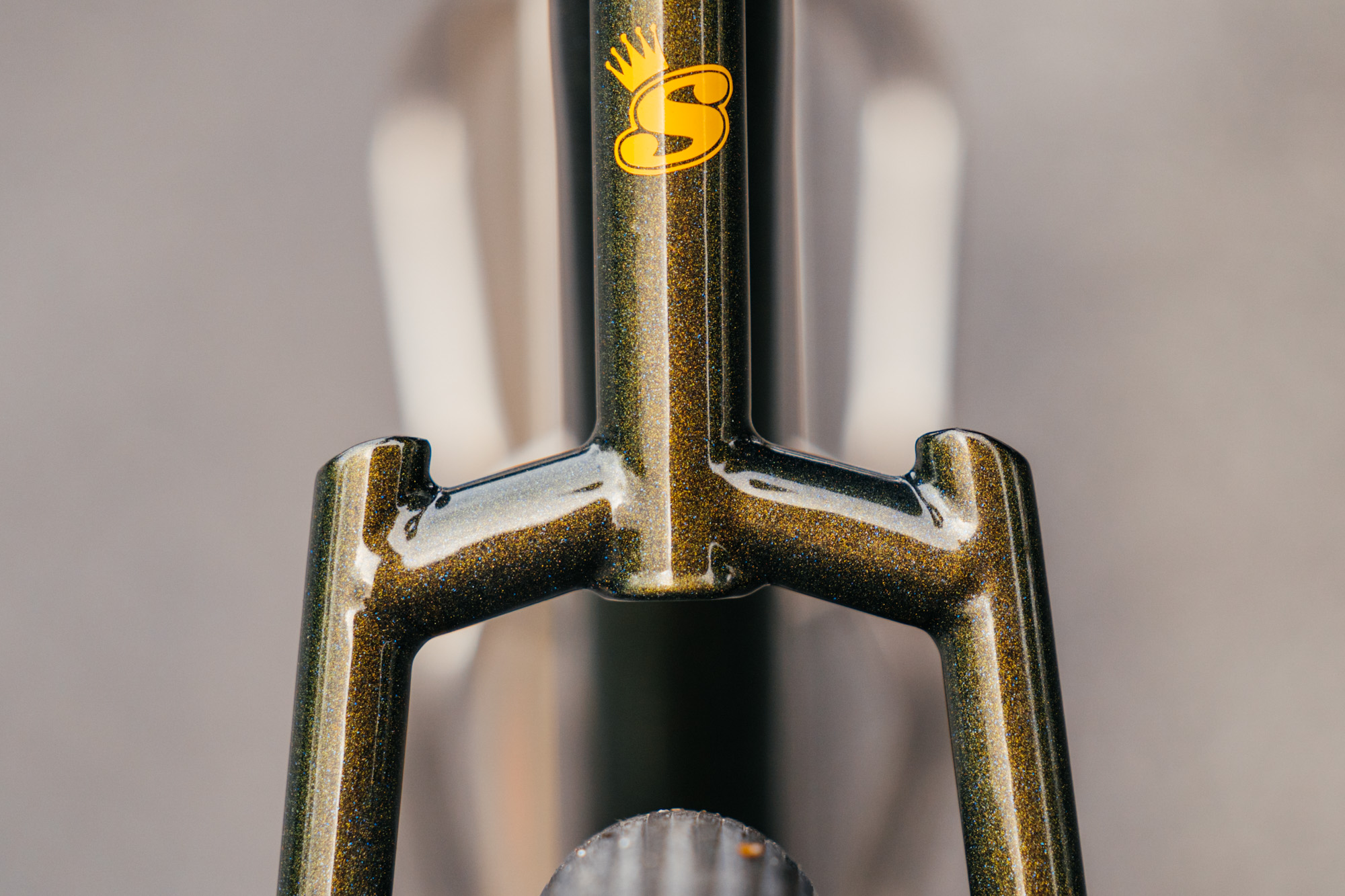 The Cub House Builds: Sycip Disc Road with Campagnolo Ekar – john ...