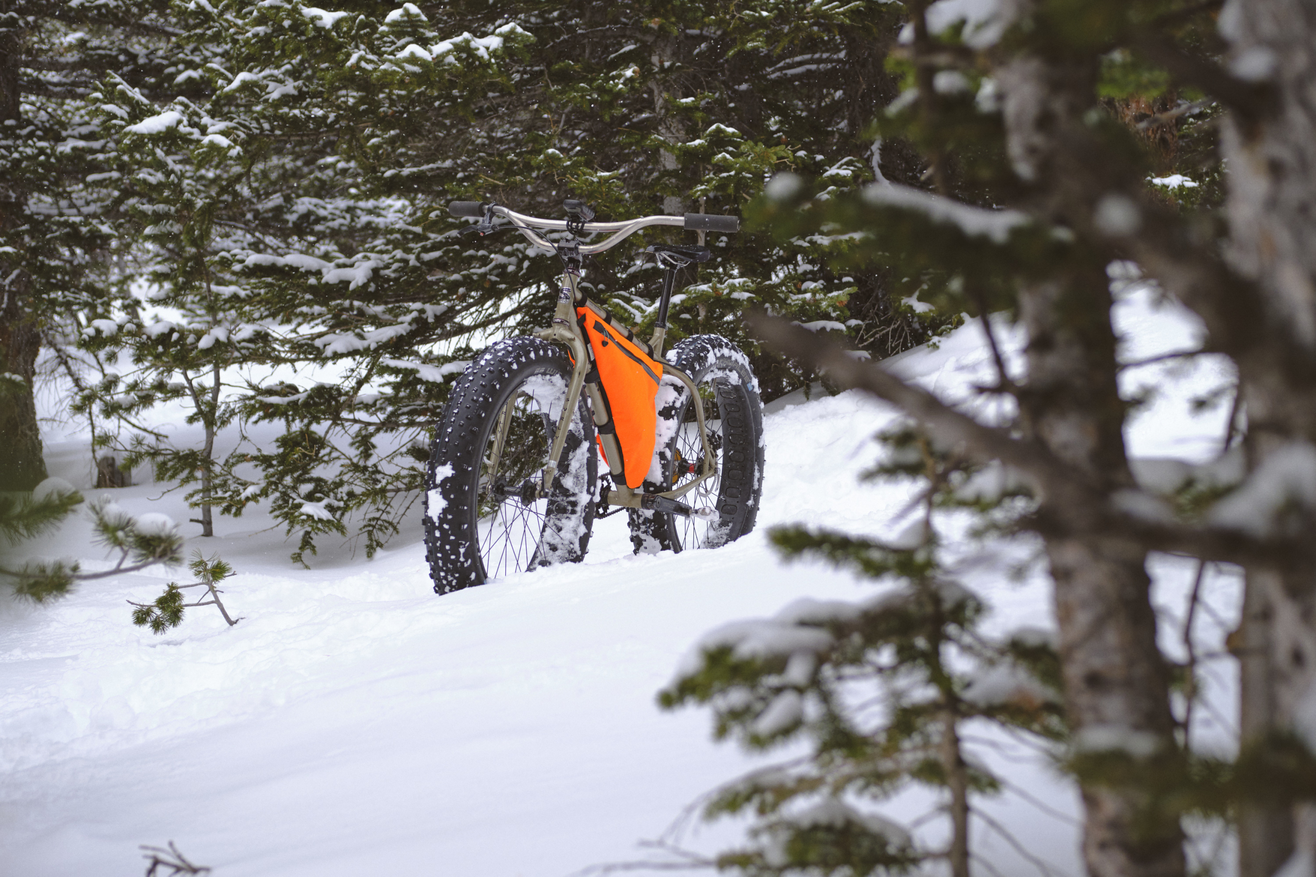 Falling for Fat Biking on the Front Range: Josh’s 2014 Surly Moonlander ...