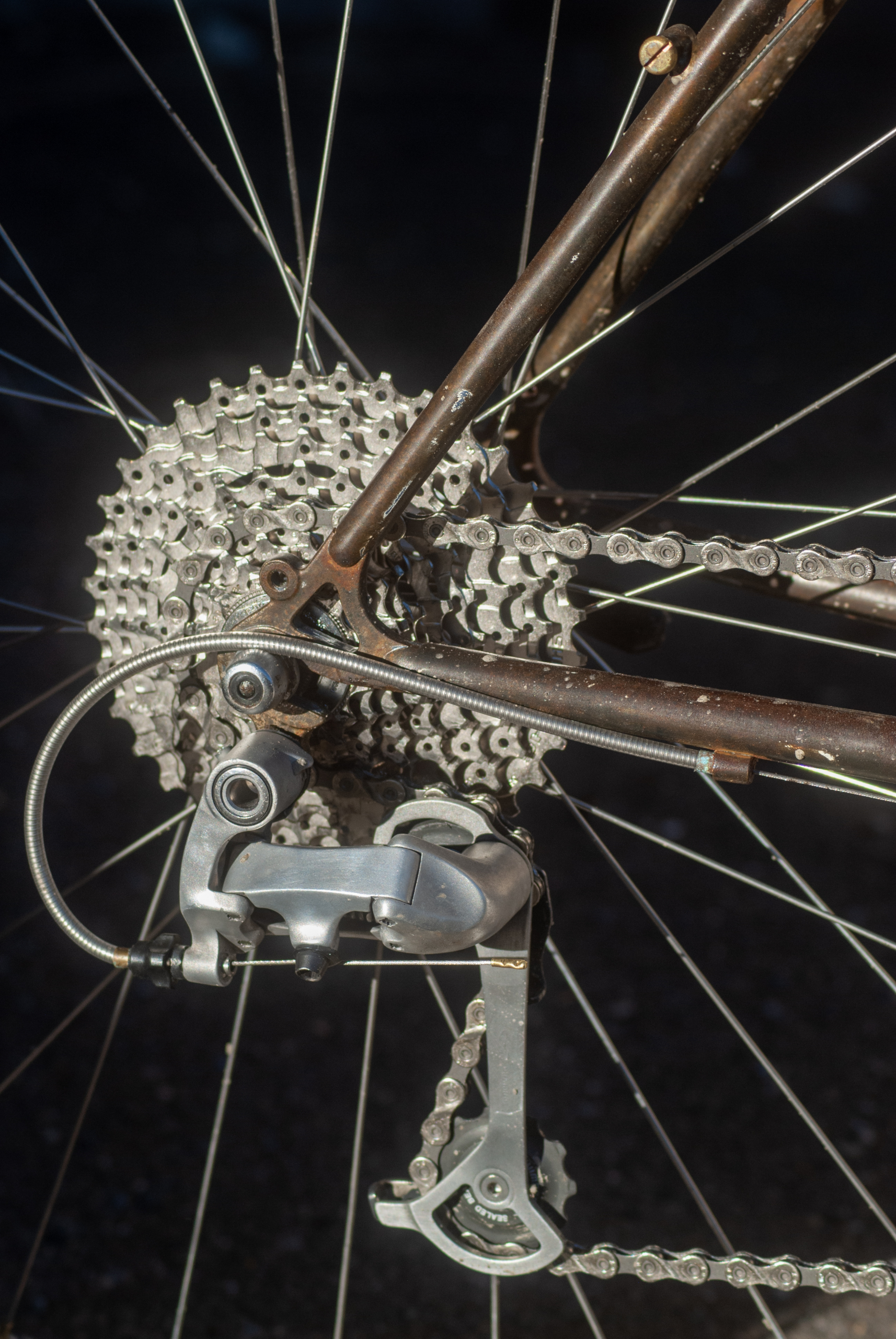 Eric’s Raw and Rusted 1985 Bridgestone MB-2 Wigsplitter – Eric Marth ...