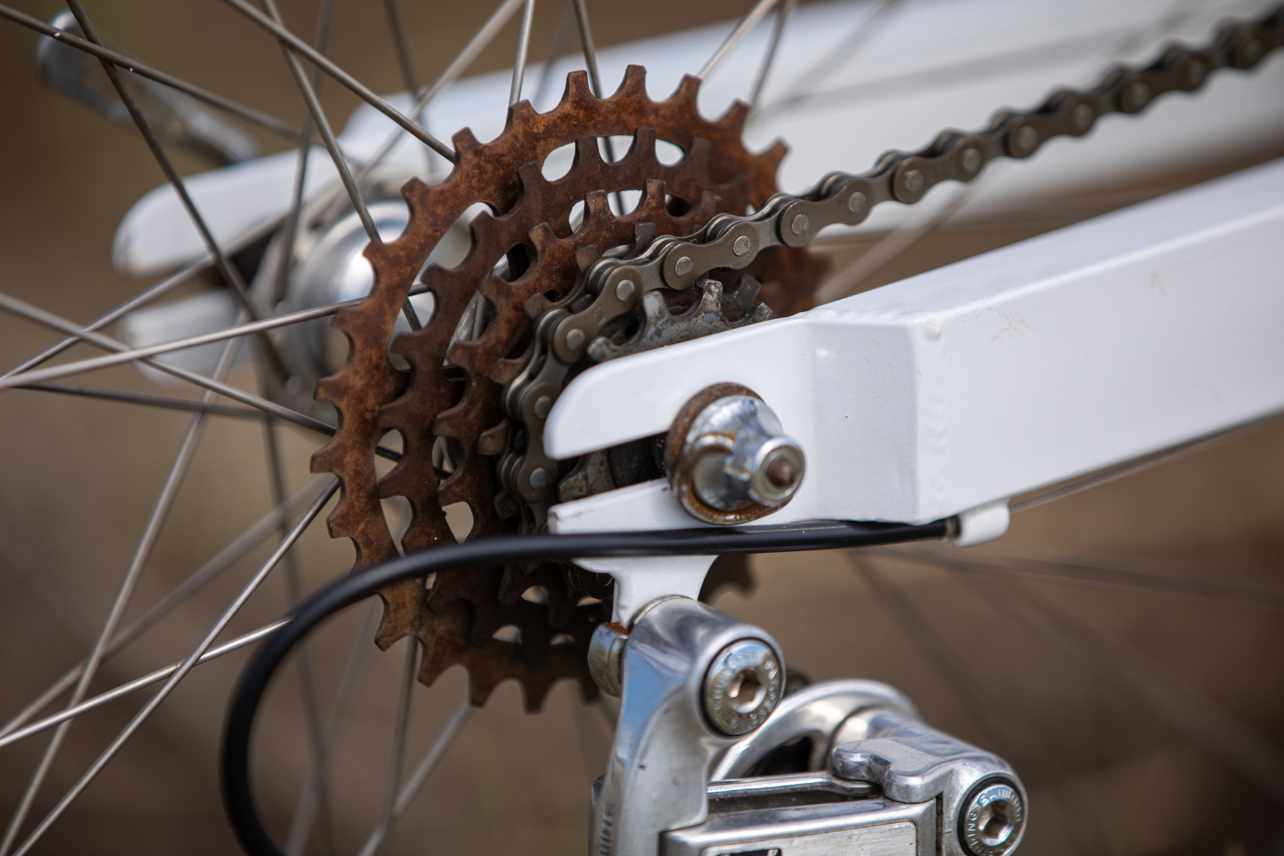 Vintage Bicycles: 1985 MCR Descender – Noah Gellner & Joey Schusler ...