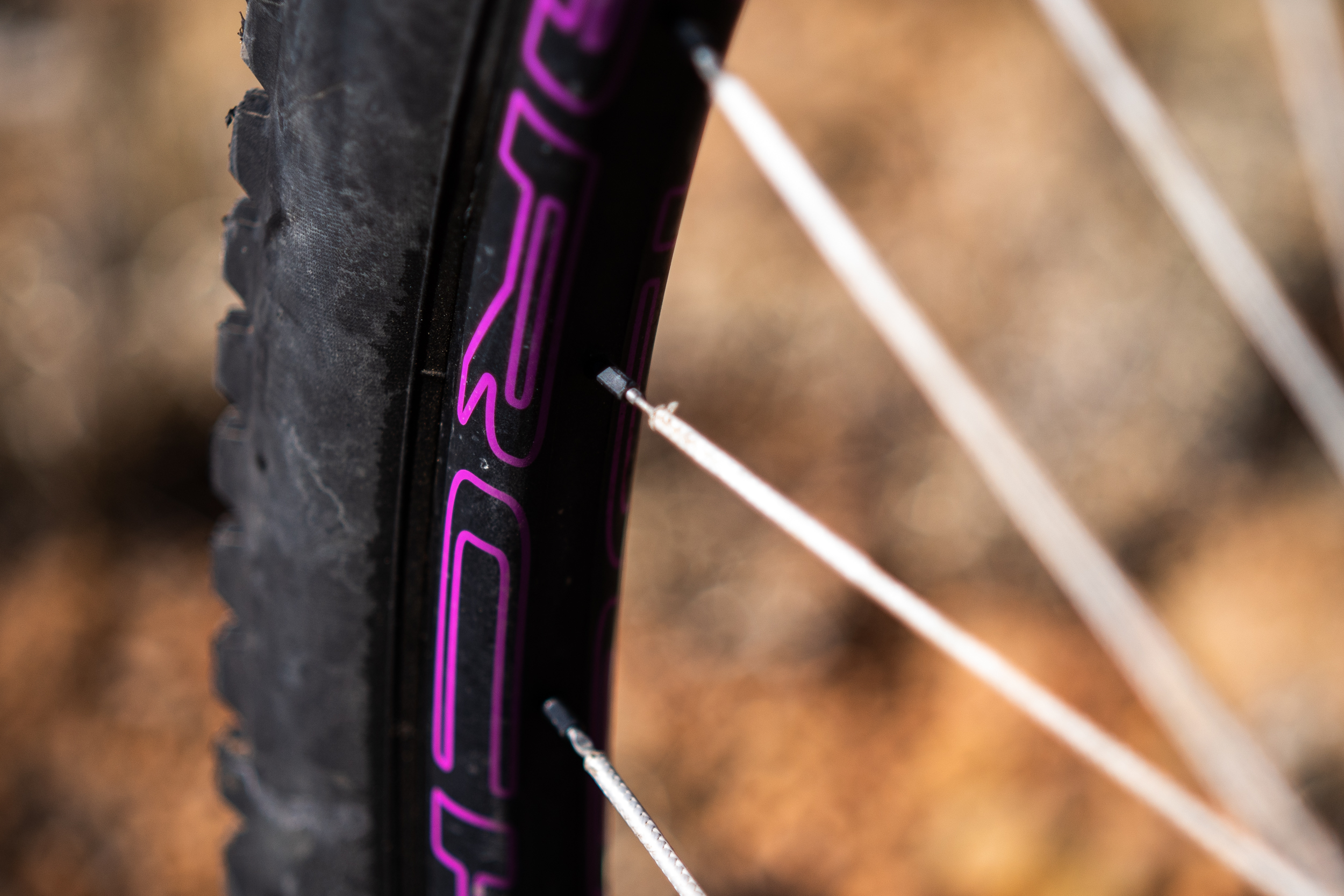 Spoke Too Soon: An In-Depth Review of BERD Spokes – Kyle Klain & John ...