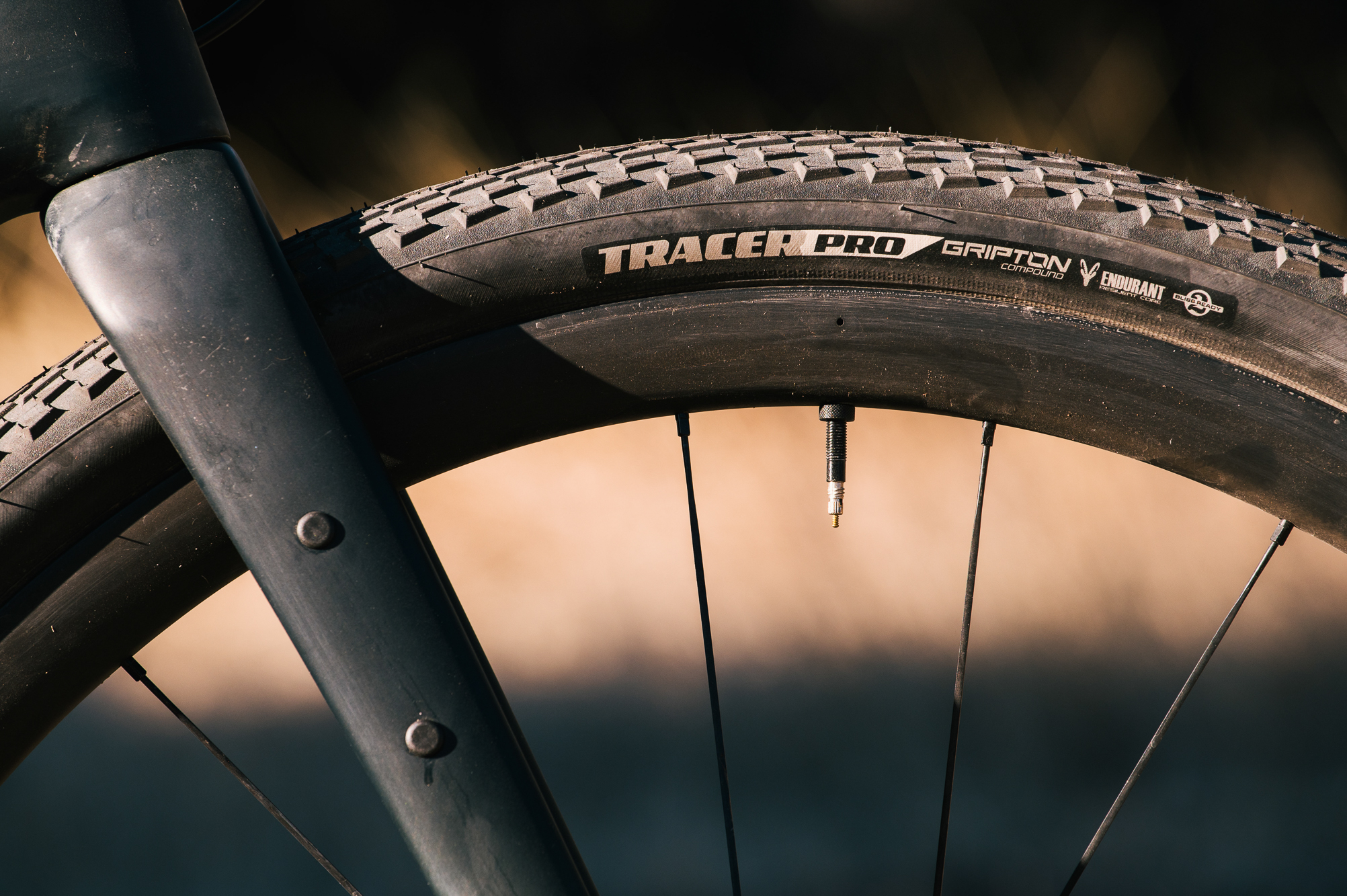 Suspending Everything Except Your Disbelief: Specialized’s New Diverge ...