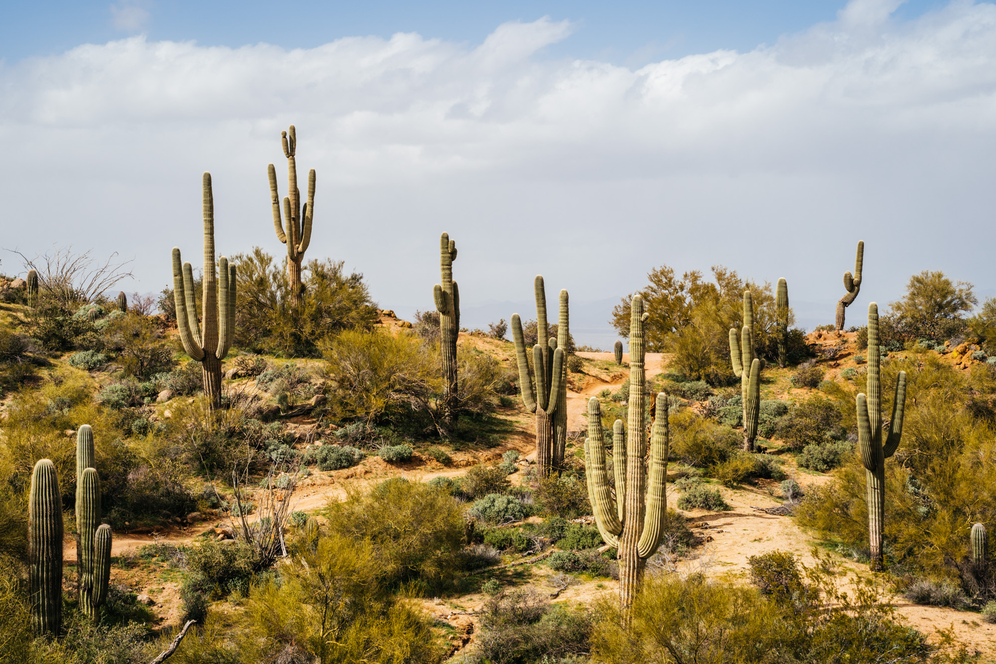Radar Roundup: 7Mesh Spring, Champagne MKS Grip Monarch, Crust ...