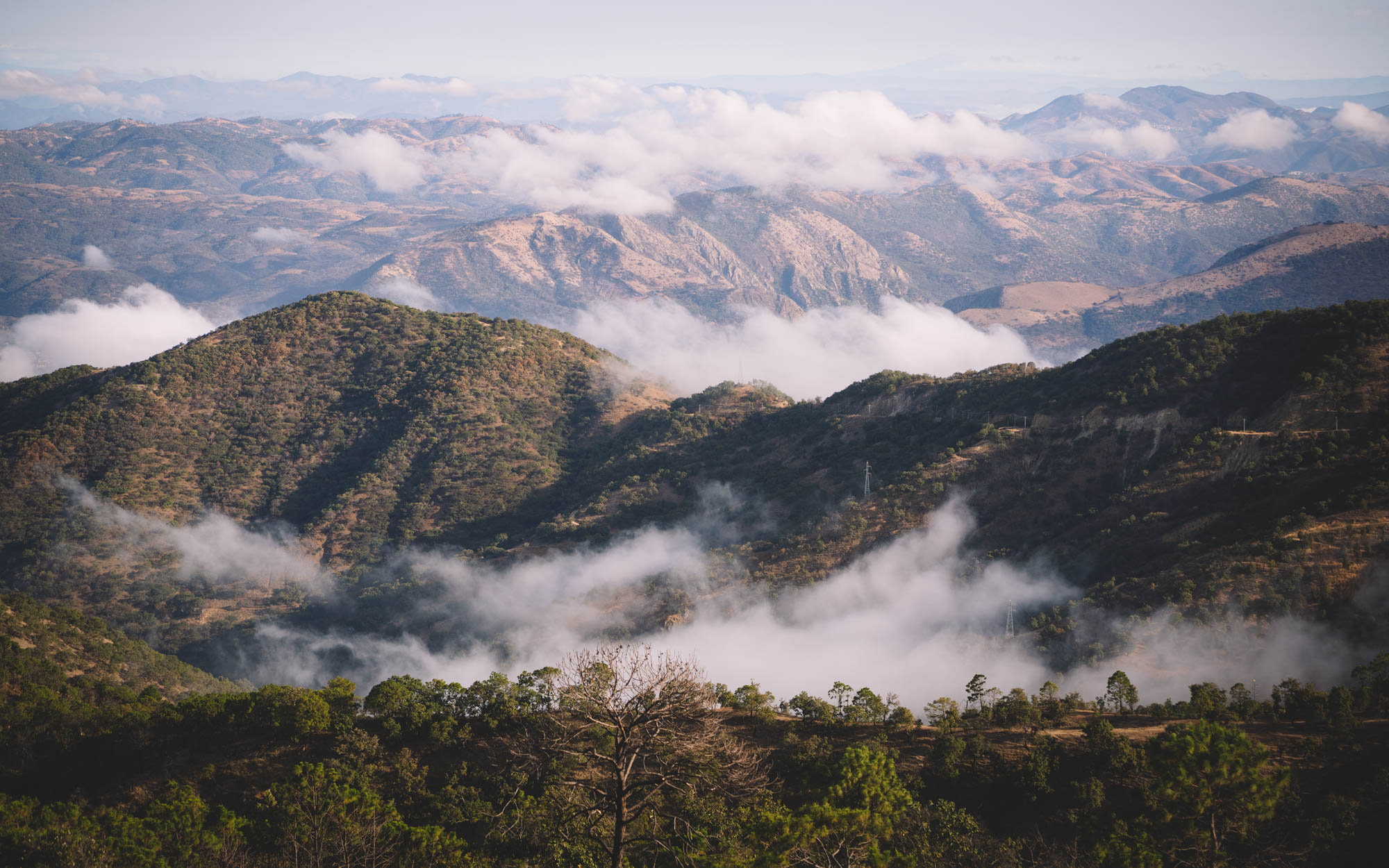 Tacos and Touring Tribulations: Halfway to Oaxaca by Bike – Emily Bei Cheng | The Radavist | A ...