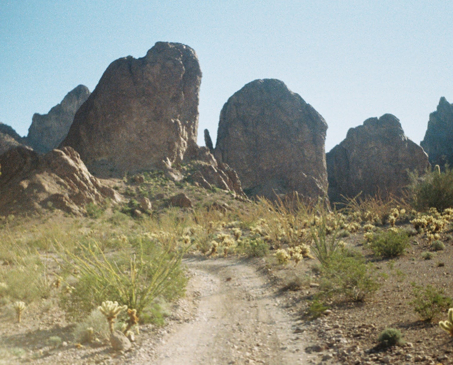 Broken Bones, Spikey Plants, and Desert Chunk: A Return to Touring in ...