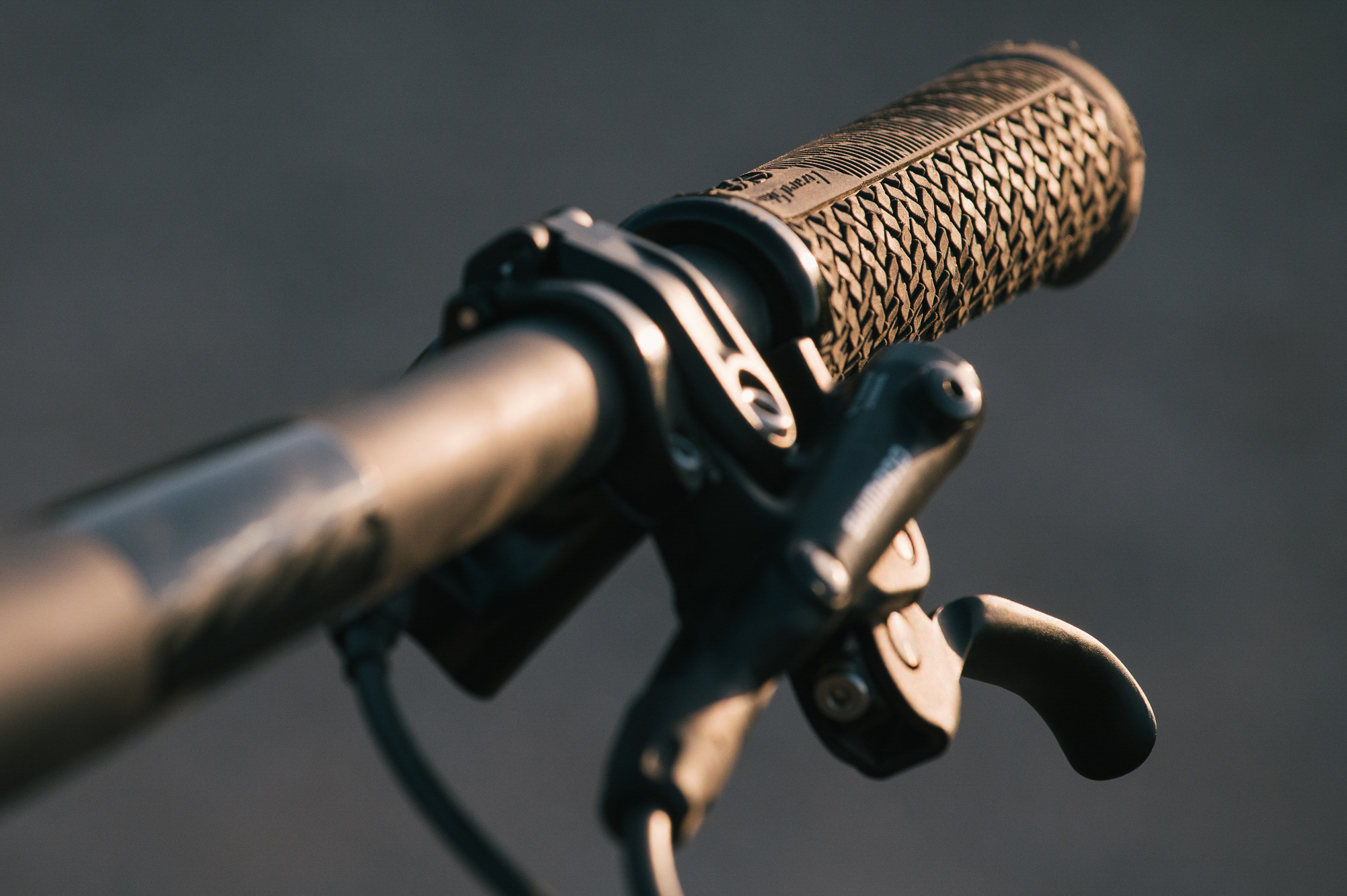 Lightweight and Fast and Niche: Ibis DV9 Hardtail 29er Review – Spencer Harding | The Radavist ...