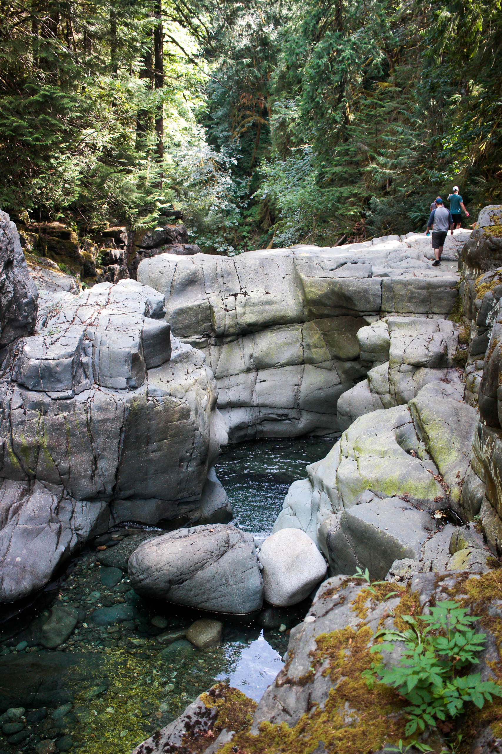 Take Care, Ride Slowly: The First Annual Dirtbag Cycles Rambler – Marc ...