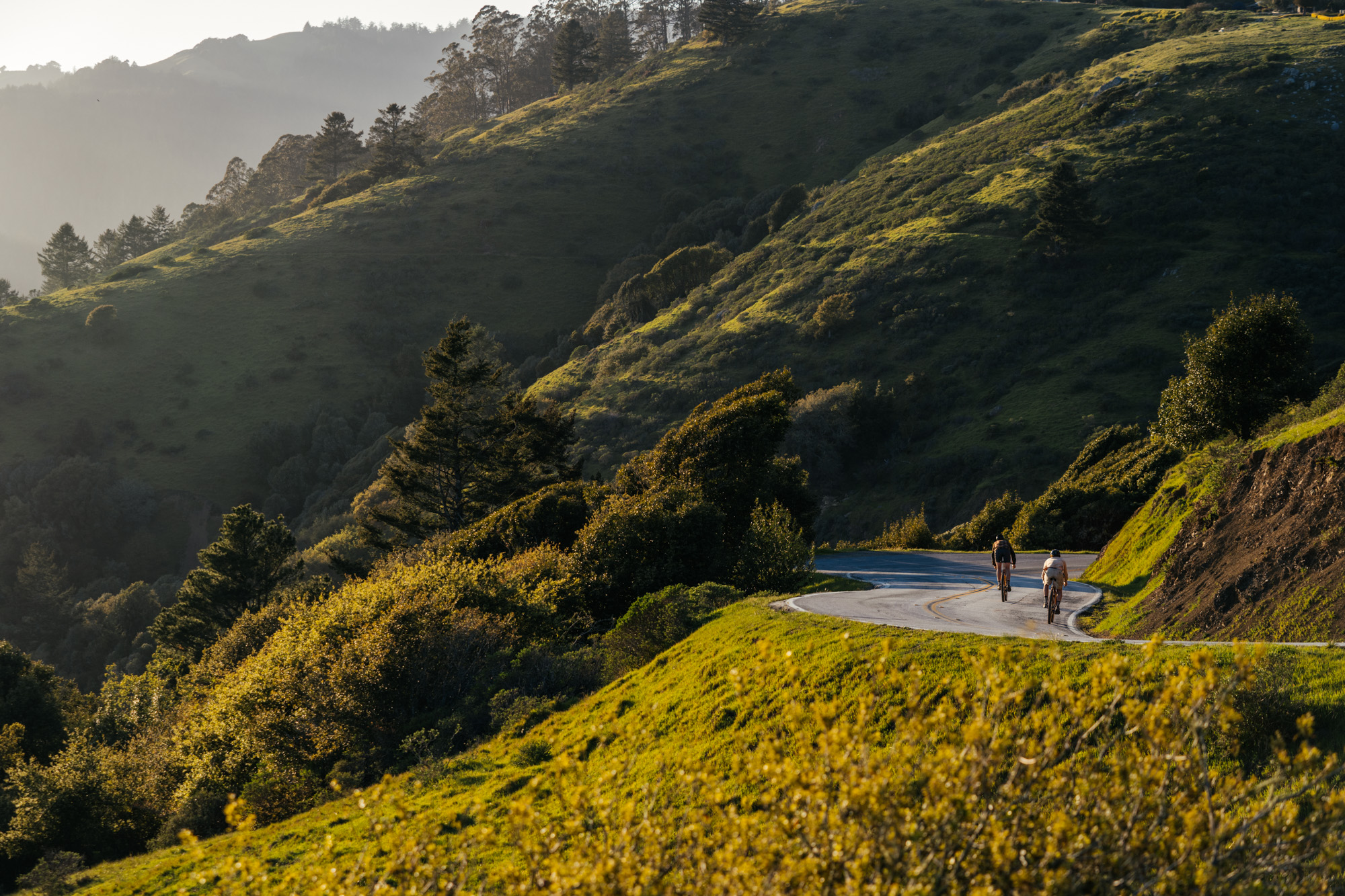 Introducing The Radavist Edition Sklar Super Something Gravel Bikes ...
