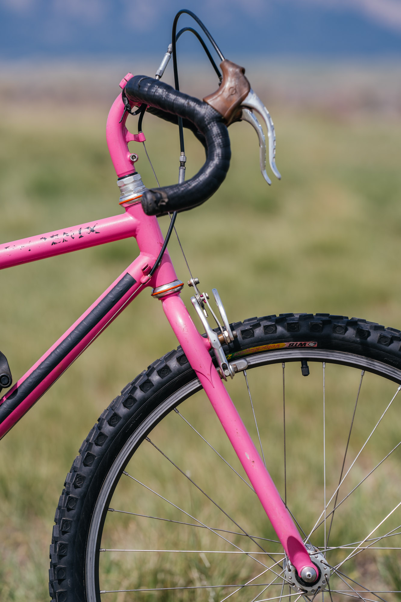 Vintage Bicycles: Jacquie’s Singlespeed Wilderness Trail Bikes Phoenix ...