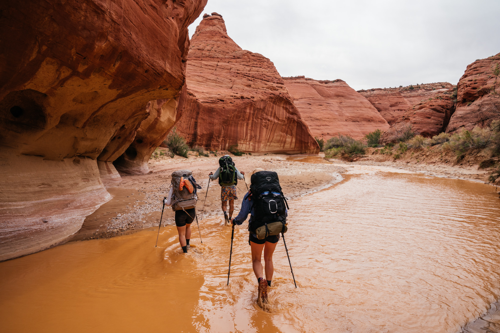 Notes on Visiting Wild and Vast Places by Foot: A Paria Canyon ...